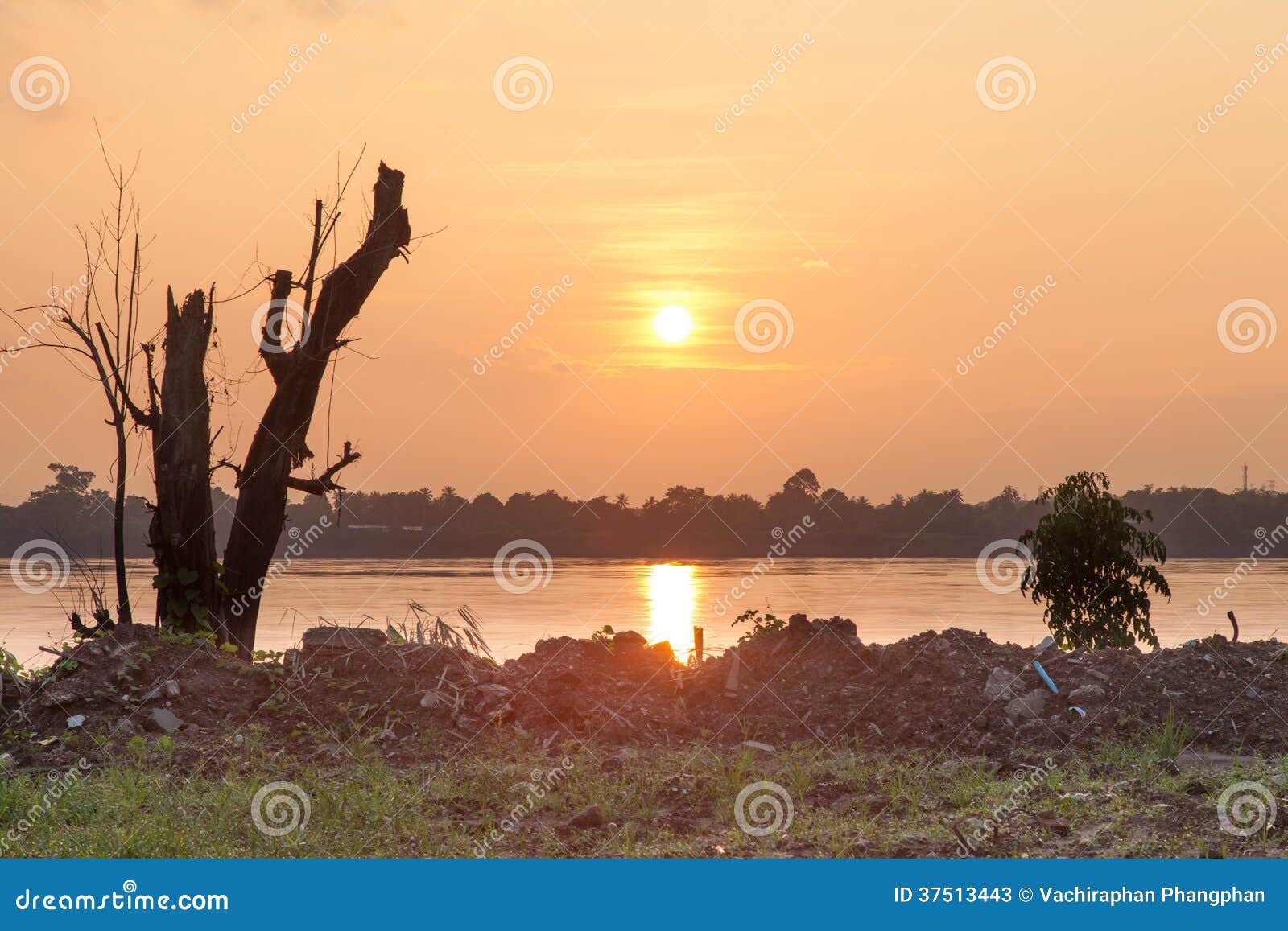 Nascer Do Sol No Banco De Rio Imagem de Stock - Imagem de sunset, noite ...