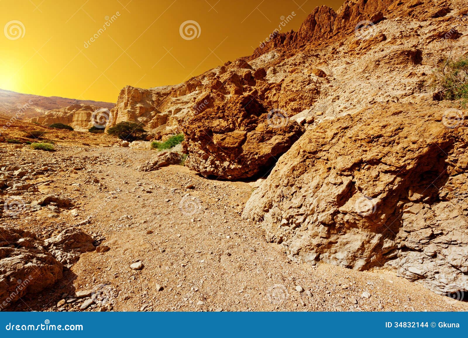 Nascer do sol no deserto foto de stock. Imagem de deserto - 34832144