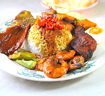 NASI KANDAR stock image. Image of plain, rice, popular - 152799561