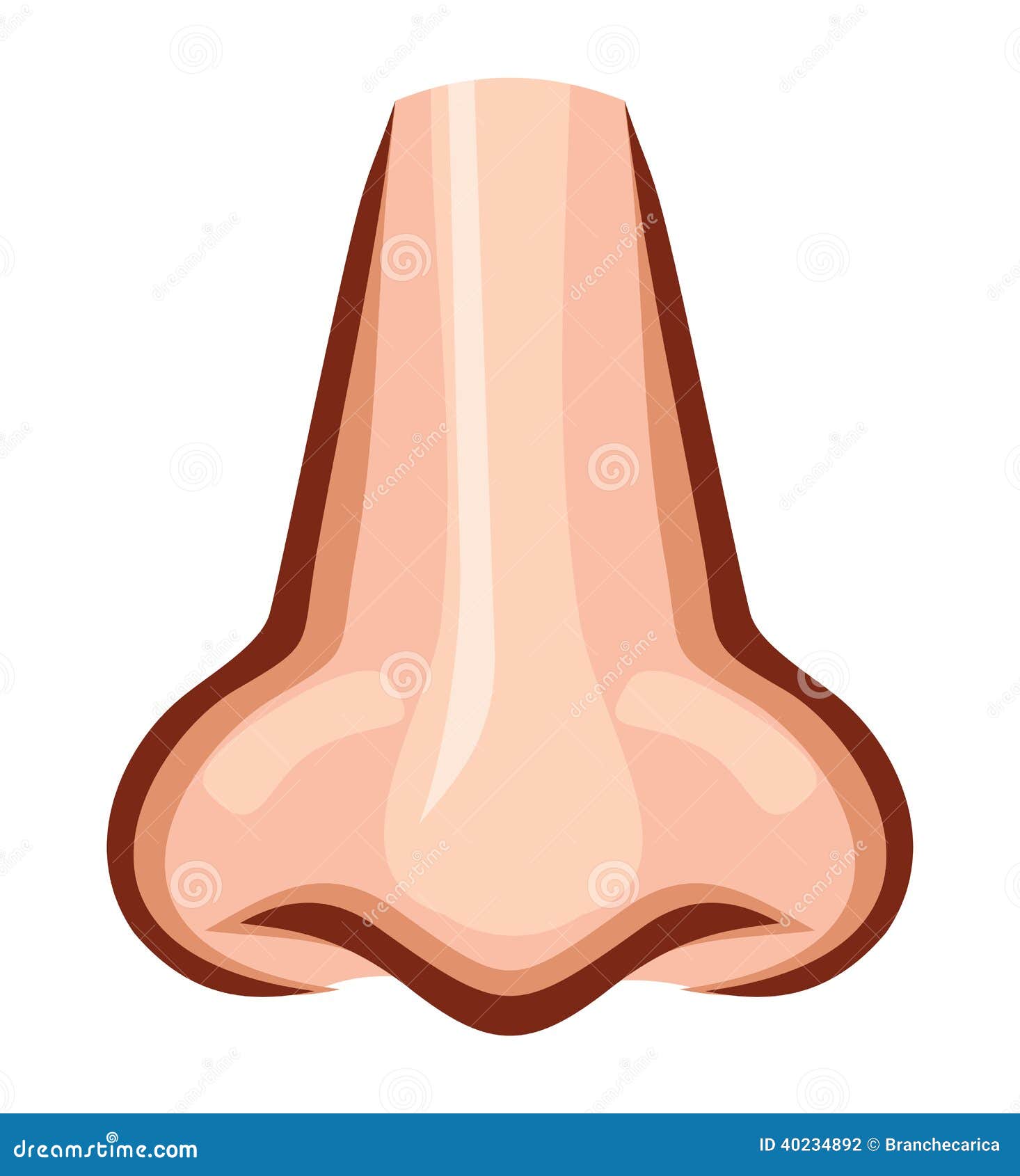 Naso dei bambini illustrazione vettoriale. Immagine di riga - 40234892