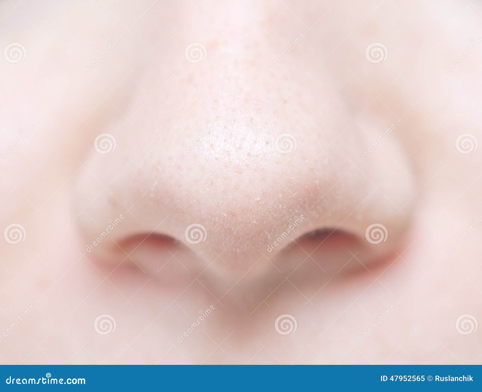 Naso della donna immagine stock. Immagine di faccia, donna - 47952565