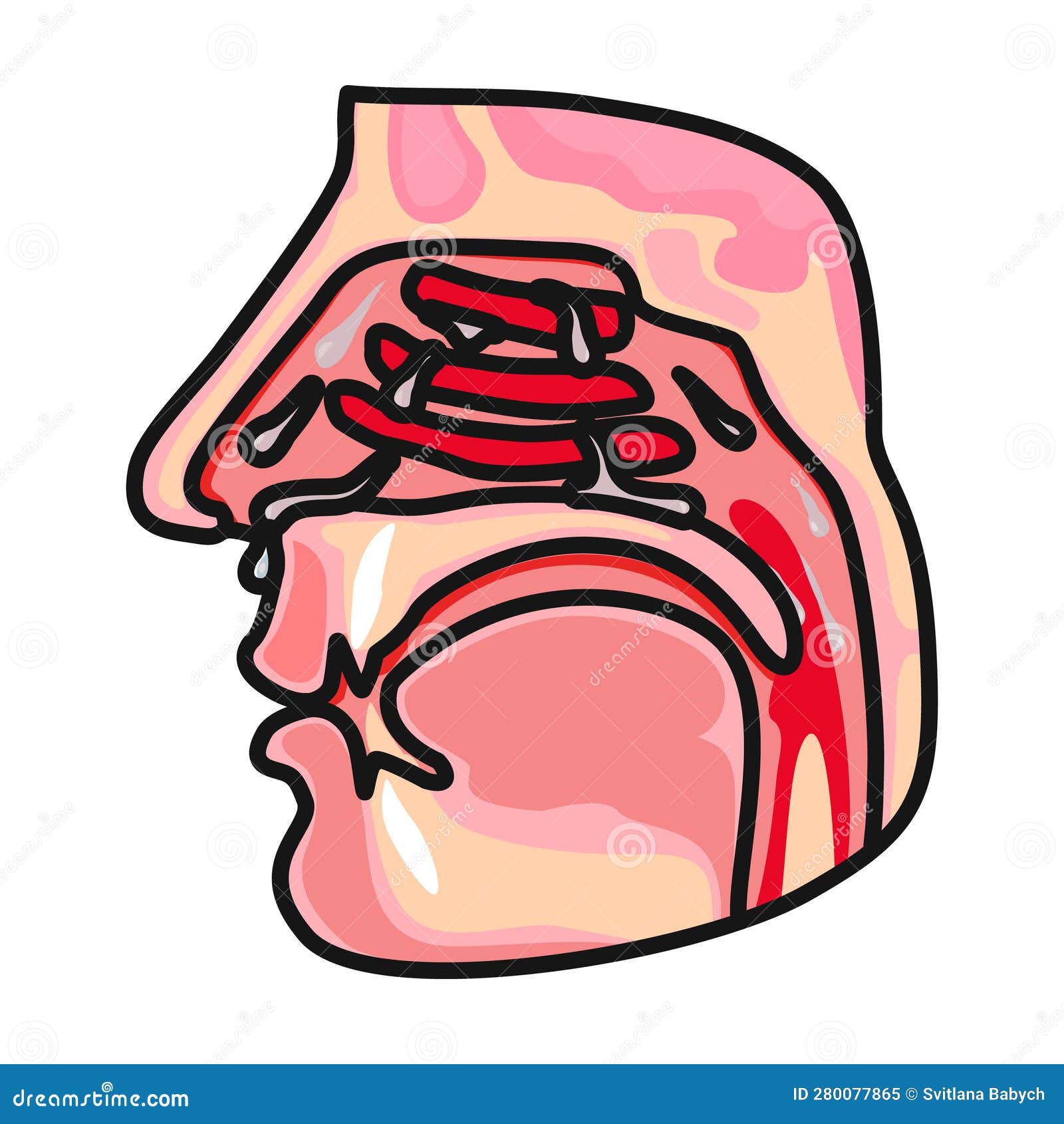 Nasopharynx Vector Icon.Color Vector Icon Isolated on White Background ... Nasopharynx Vector Icon.Color Vector Icon Isolated on White Background ...