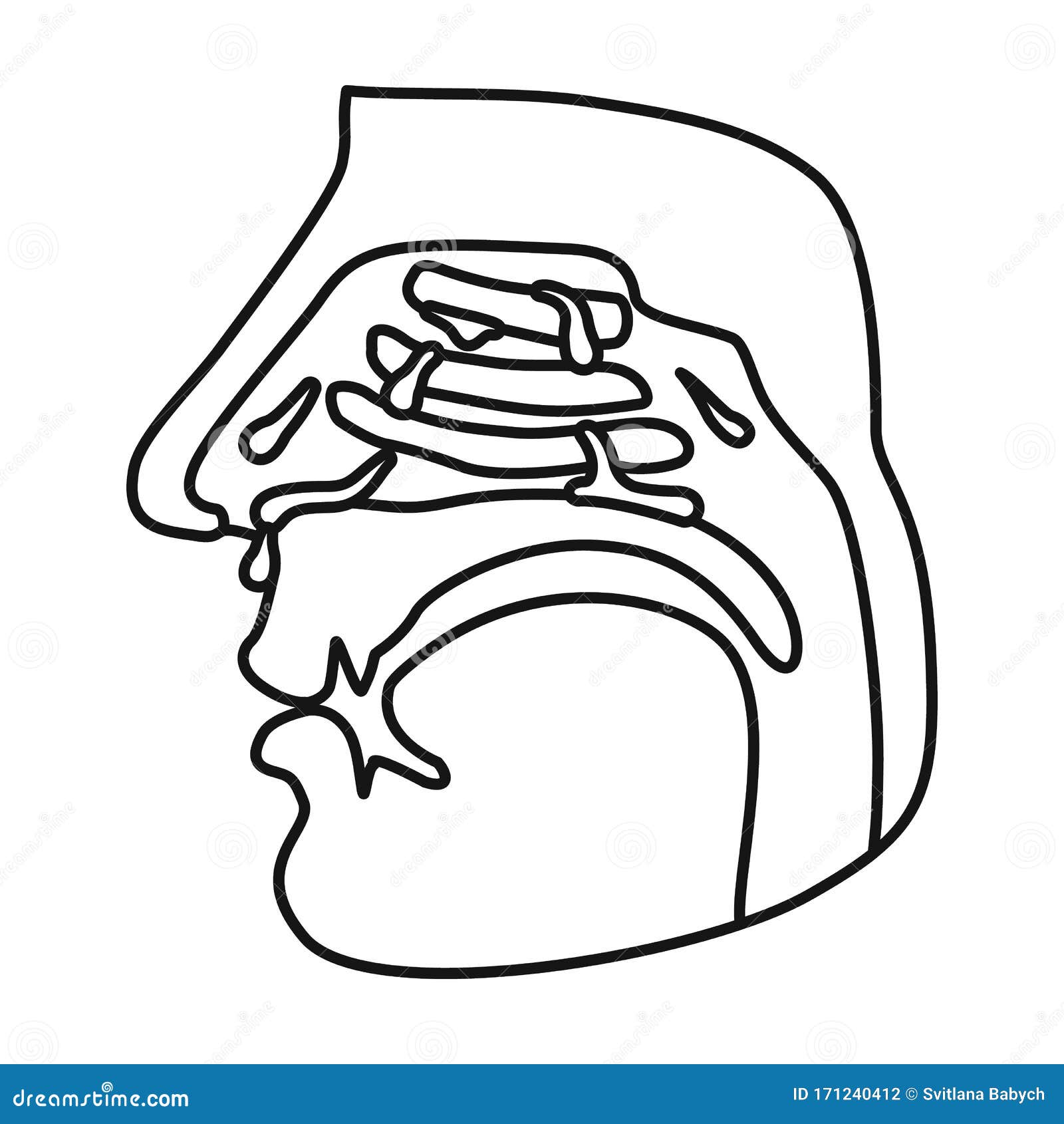 Oropharynx Vector Illustration. Anatomical Labeled Scheme With Human ...
