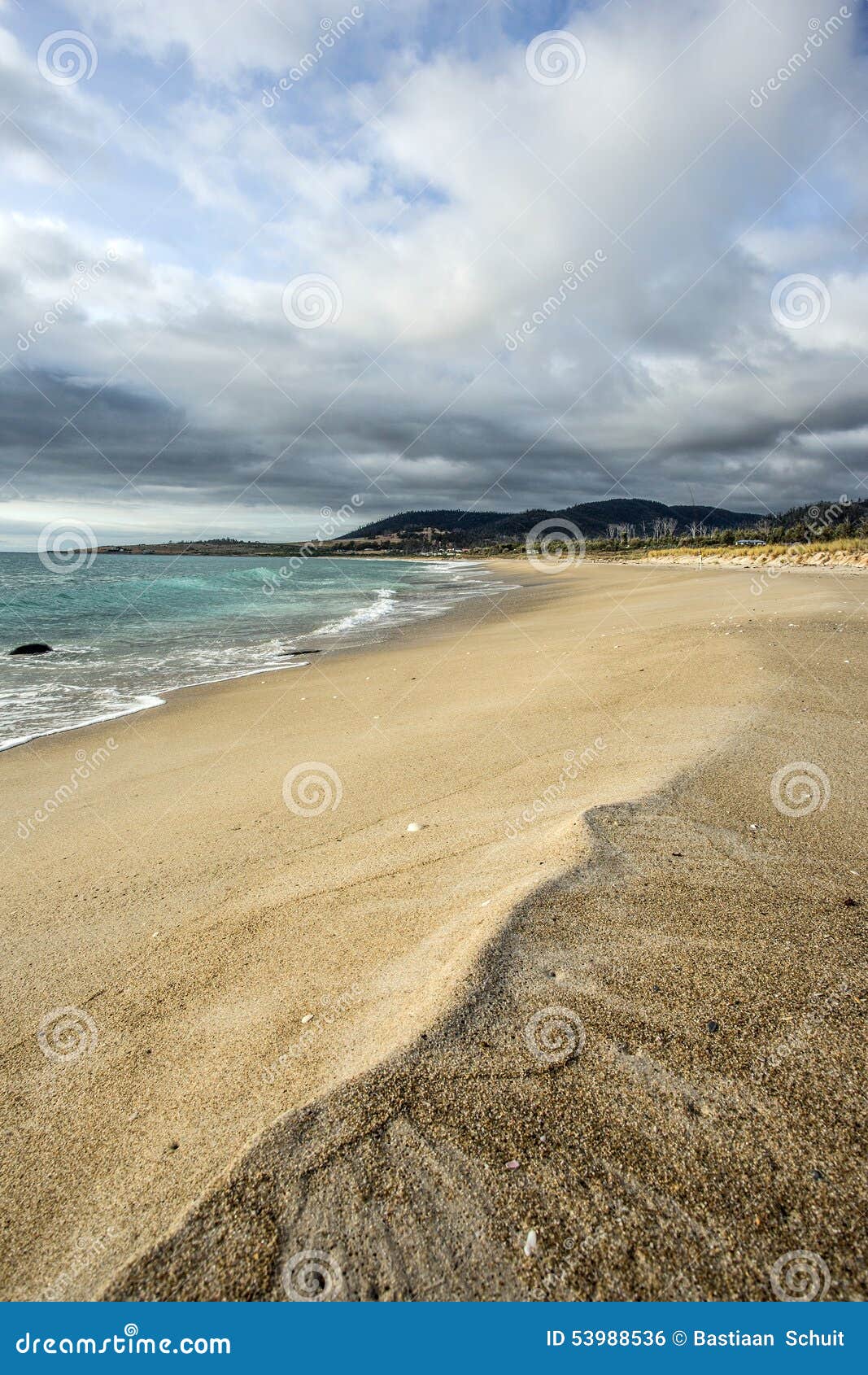 Nat zand op het strand stock foto. Image of tasmanige - 53988536