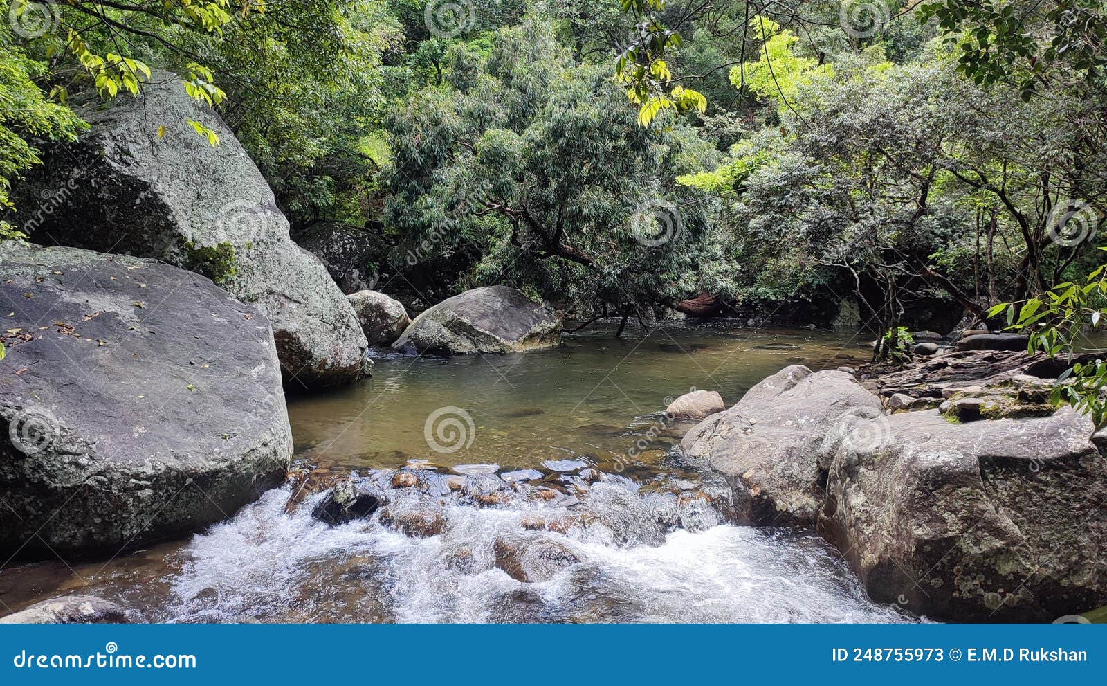 Beautiful River in Srilanka Stock Image - Image of nathural, srilanka ...