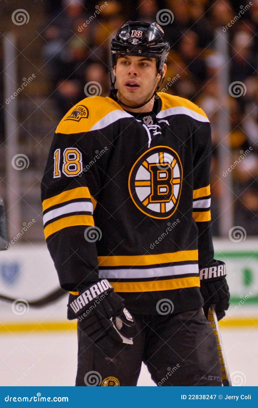Nathan Horton Boston Bruins Photographie éditorial - Image du noir ...