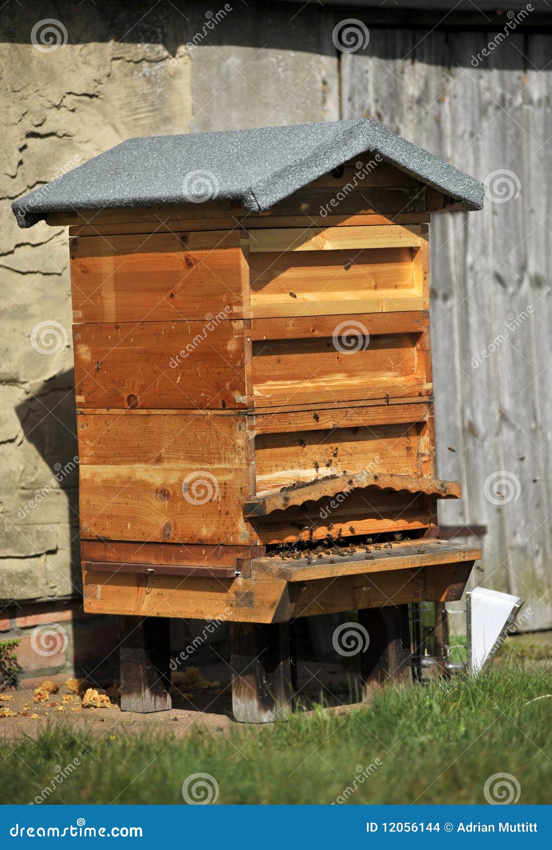National beehive stock photo. Image of food, national - 12056144