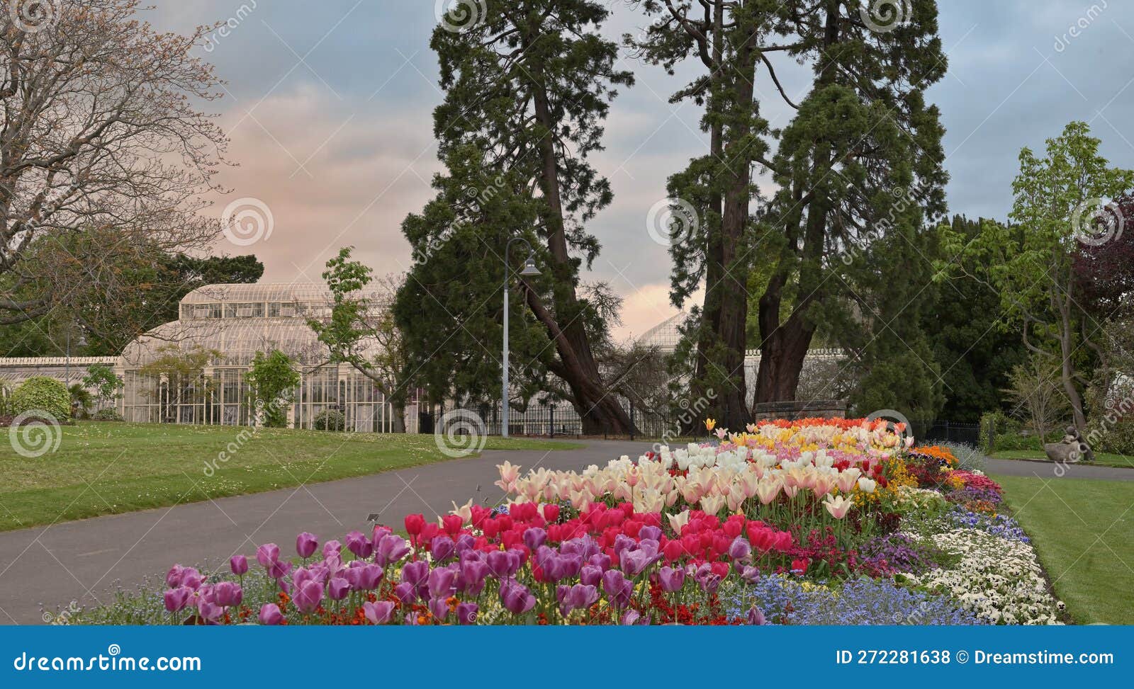 The National Botanic Gardens of Ireland Stock Photo - Image of curve ...