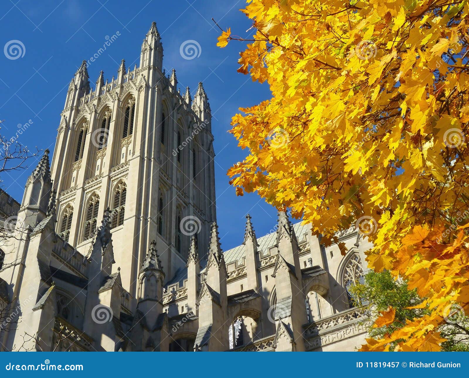National Cathedral Autumn stock image. Image of yellow - 11819457