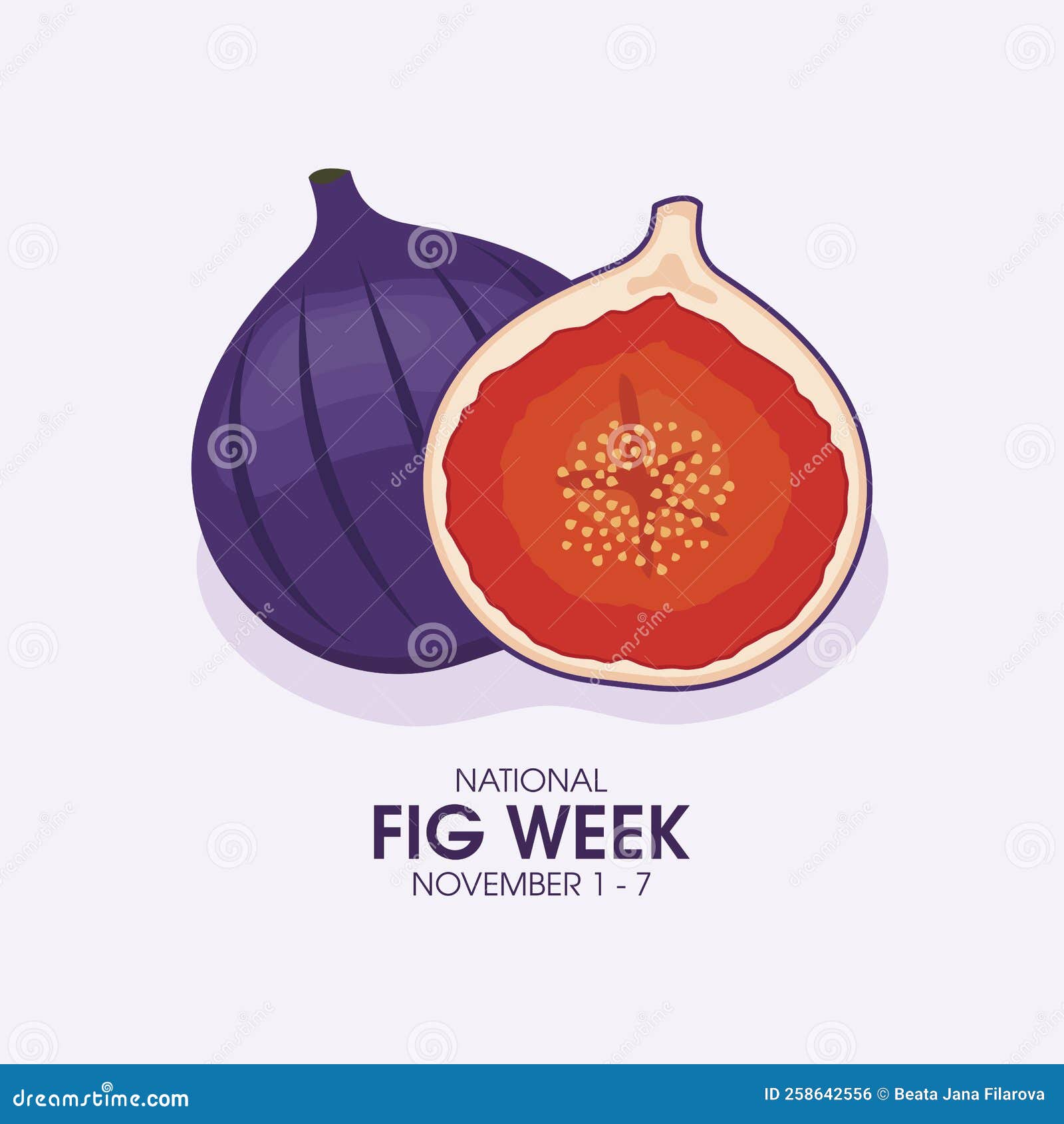 National Fig Week vector stock vector. Illustration of drawing - 258642556