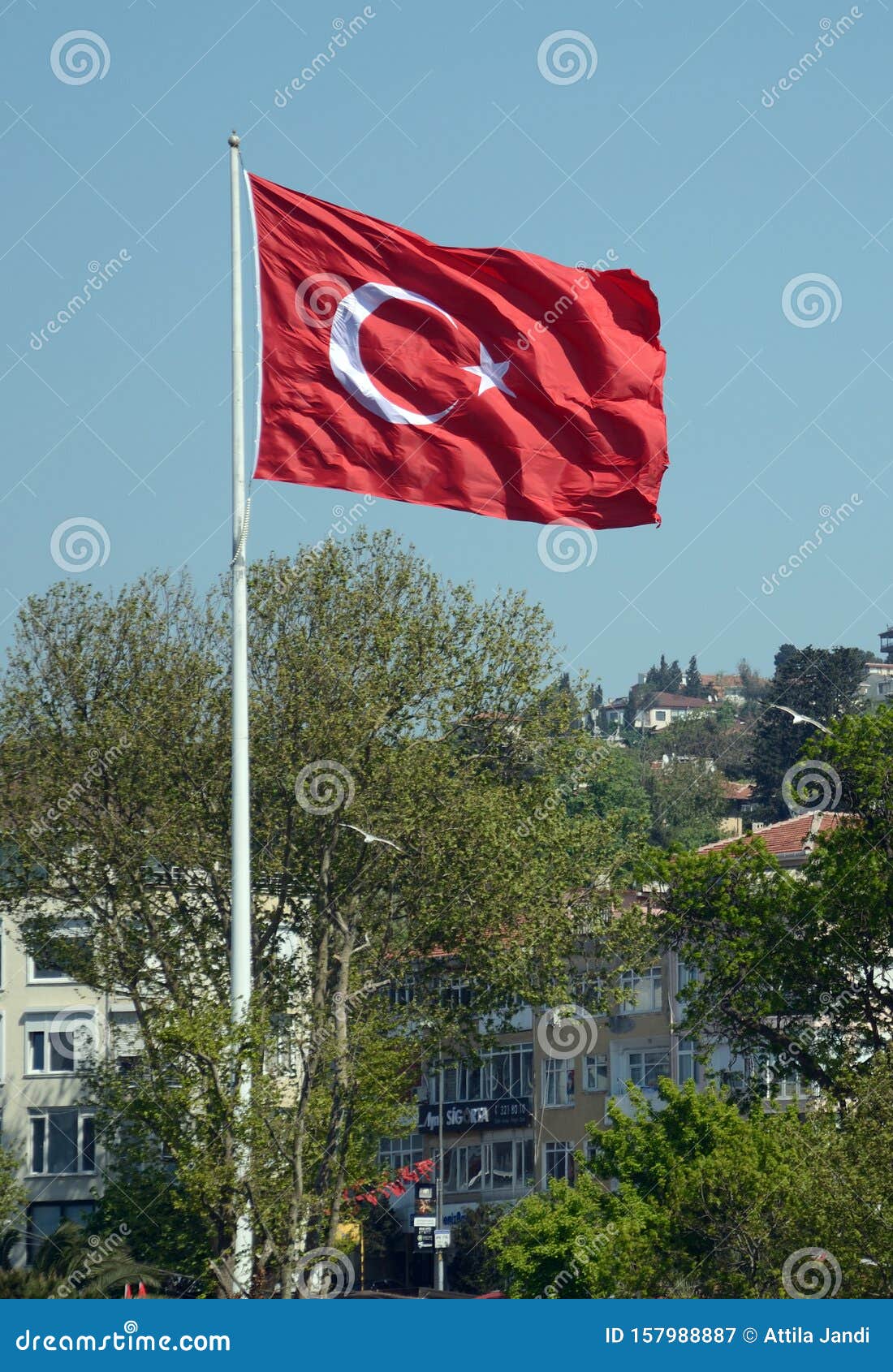 The National Flag of Turkey Editorial Photography - Image of moon, flag ...
