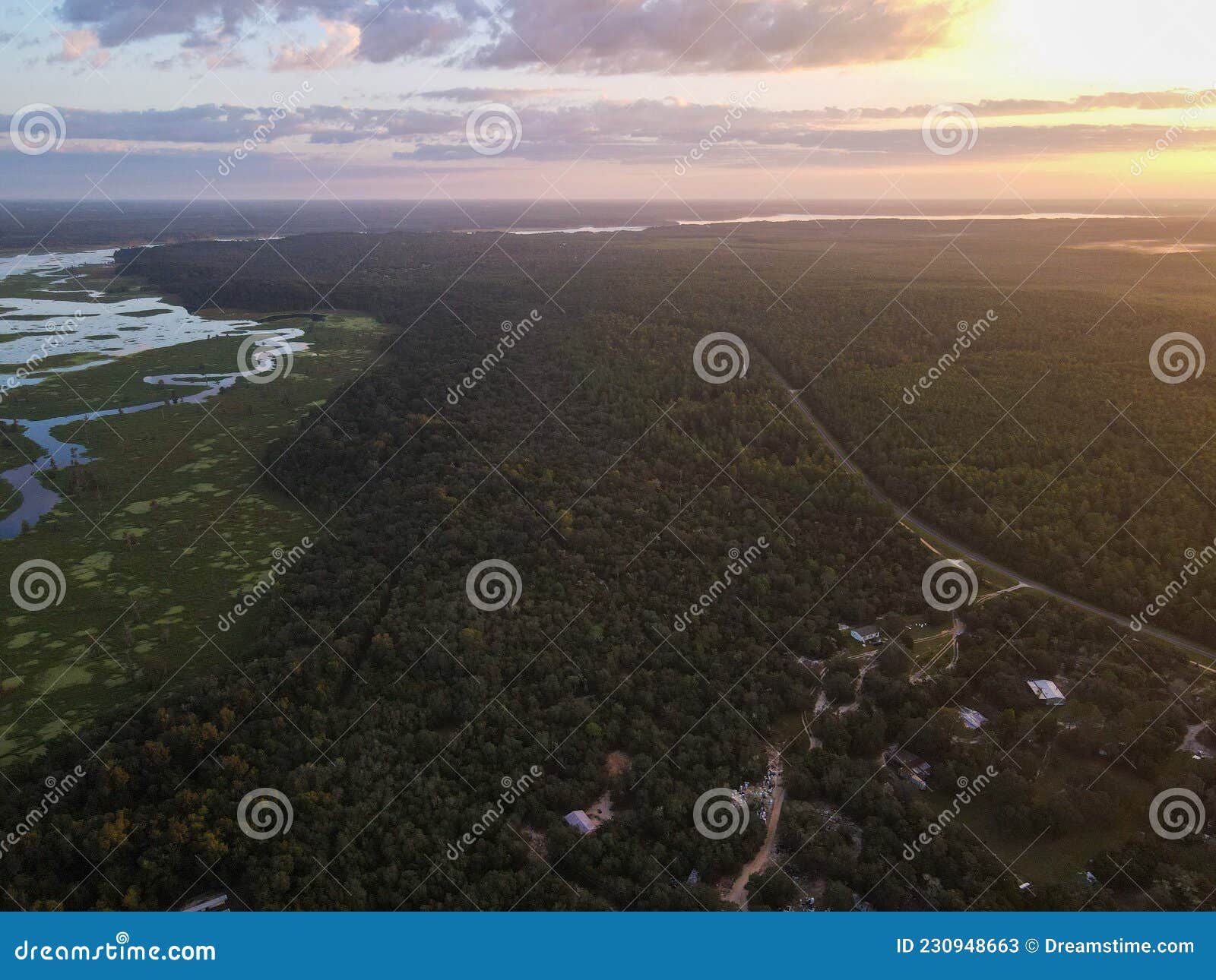 National Forrest sunrise stock image. Image of cloud - 230948663