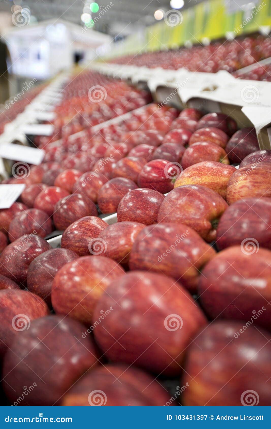 National fruit Show stock image. Image of great, green - 103431397