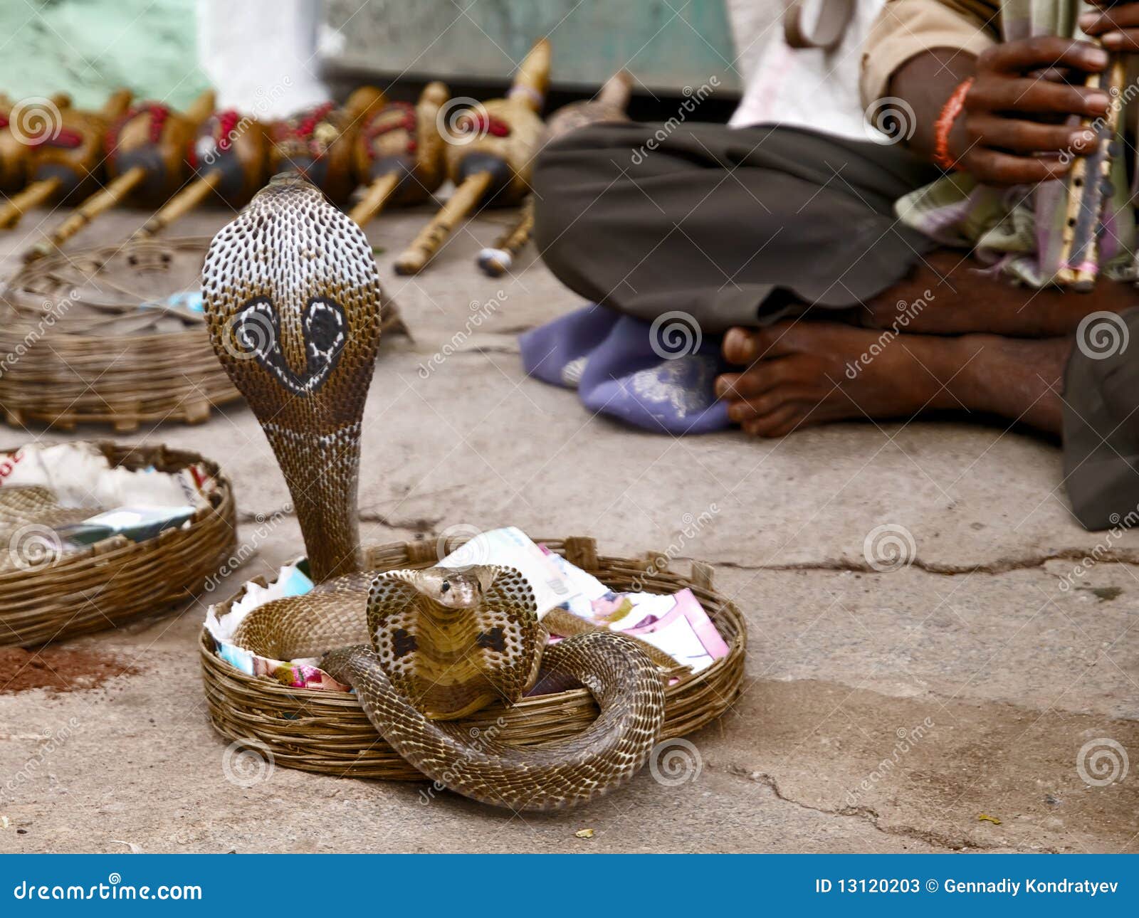 National Indian Show - Snake S Invocation Stock Image - Image of dance ...