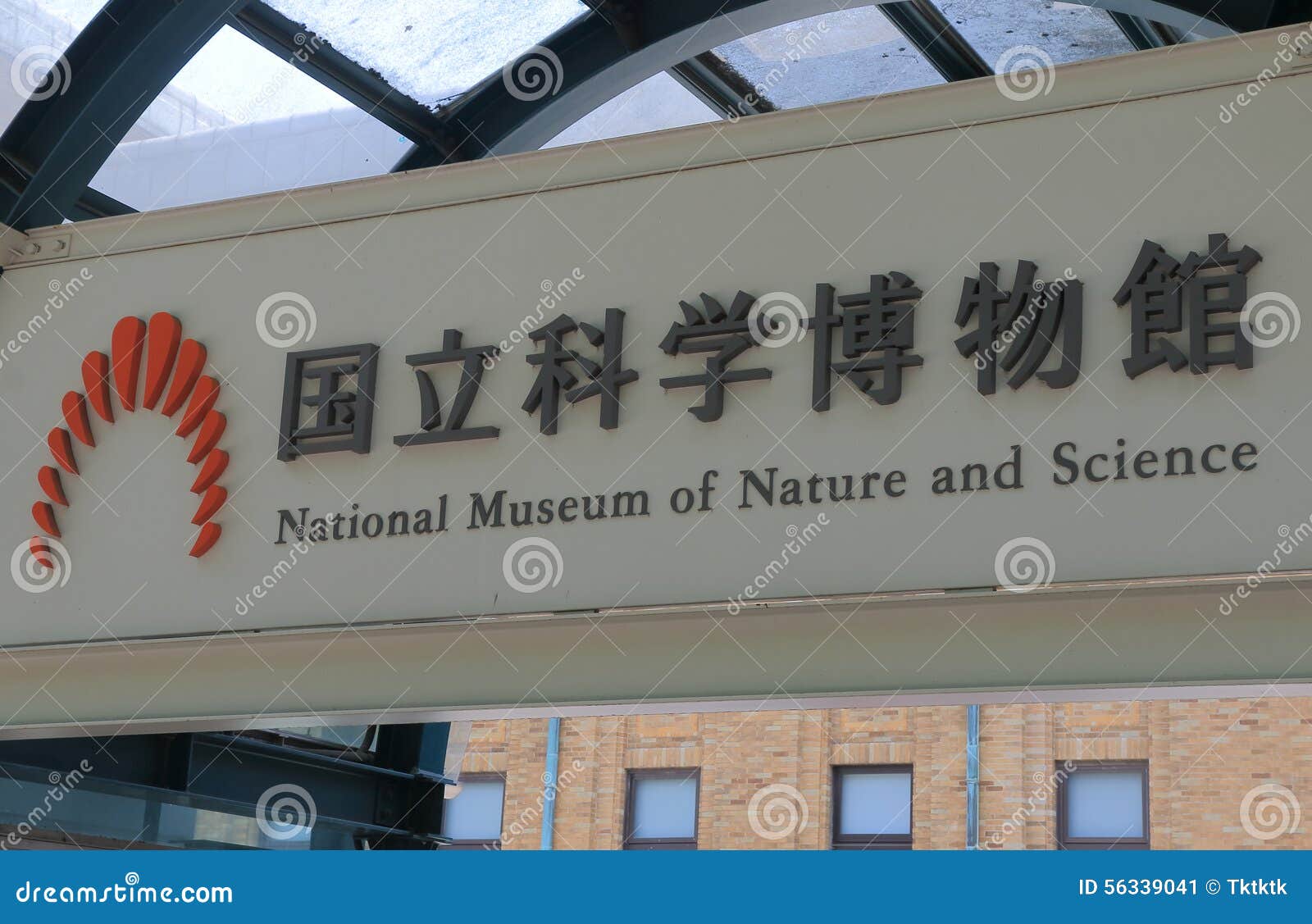 Museum Of Nature. Mammals Naturally Capable Of True And Sustained ...