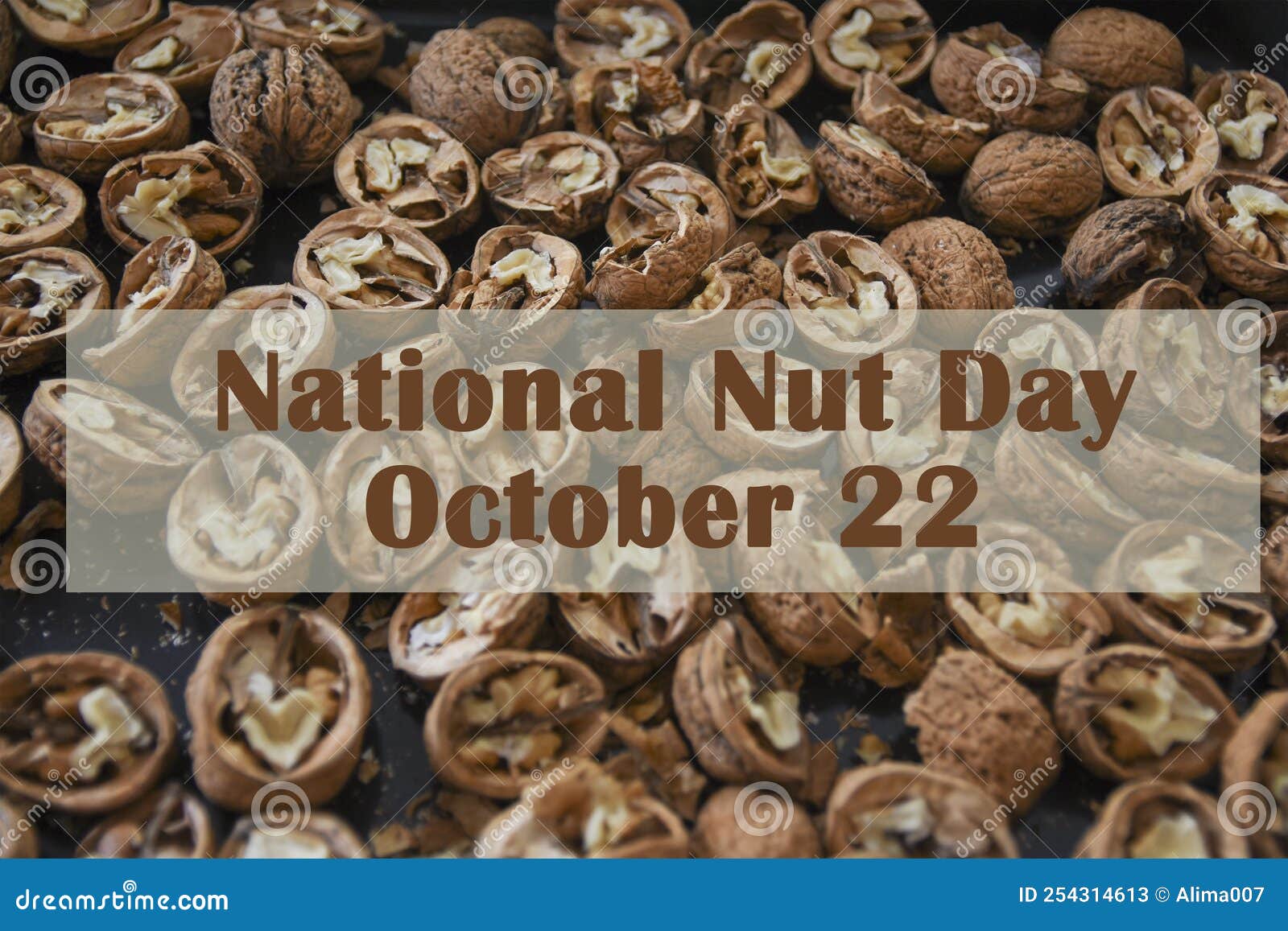 National Nut Day, October 22 Stock Image - Image of seed, american ...