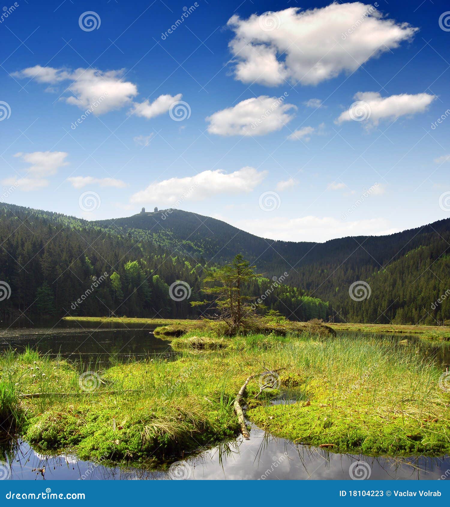 National Park Bavarian Forest - Germany Stock Image - Image of meadow ...