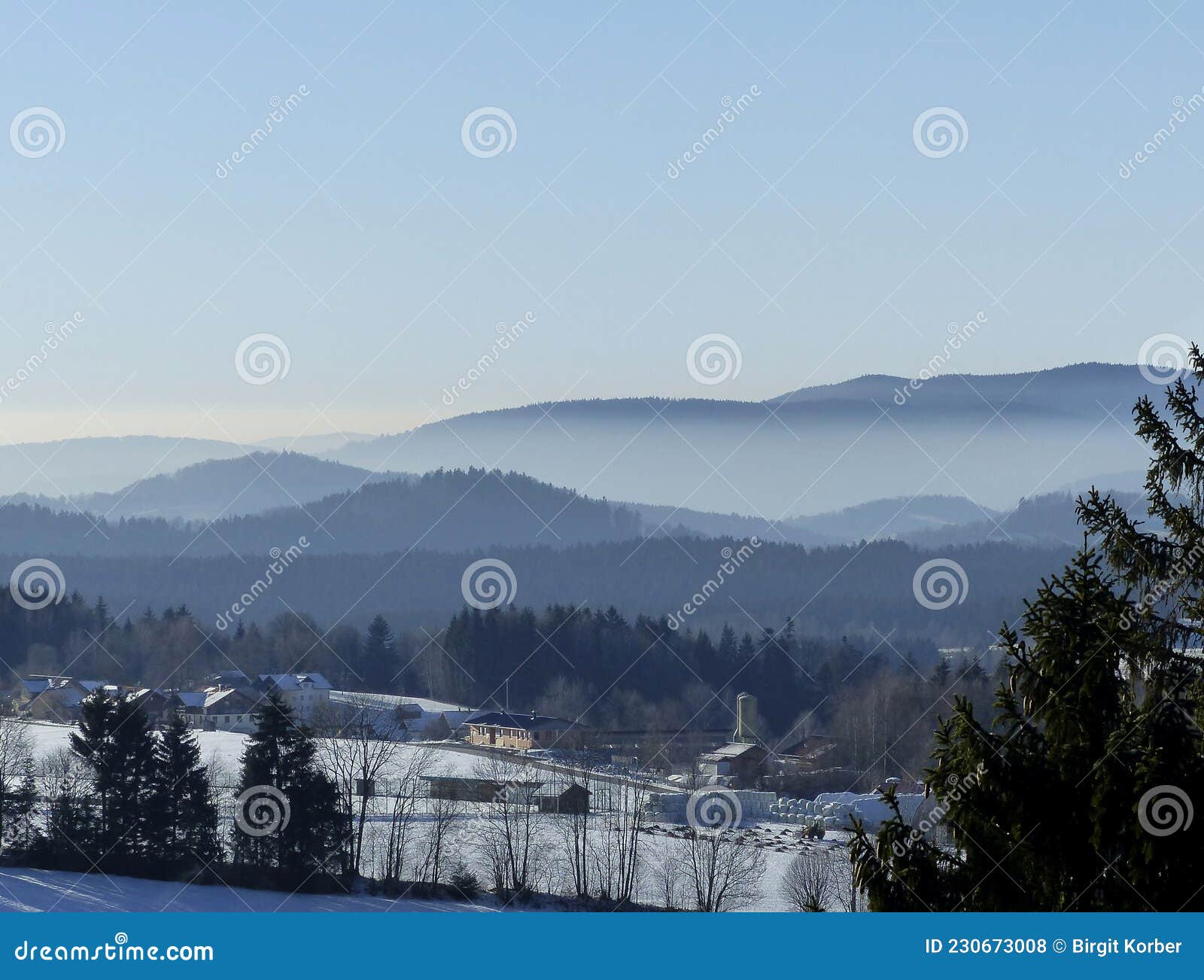 National Park Bayerischer Wald in Bavaria, Germany Stock Photo - Image ...