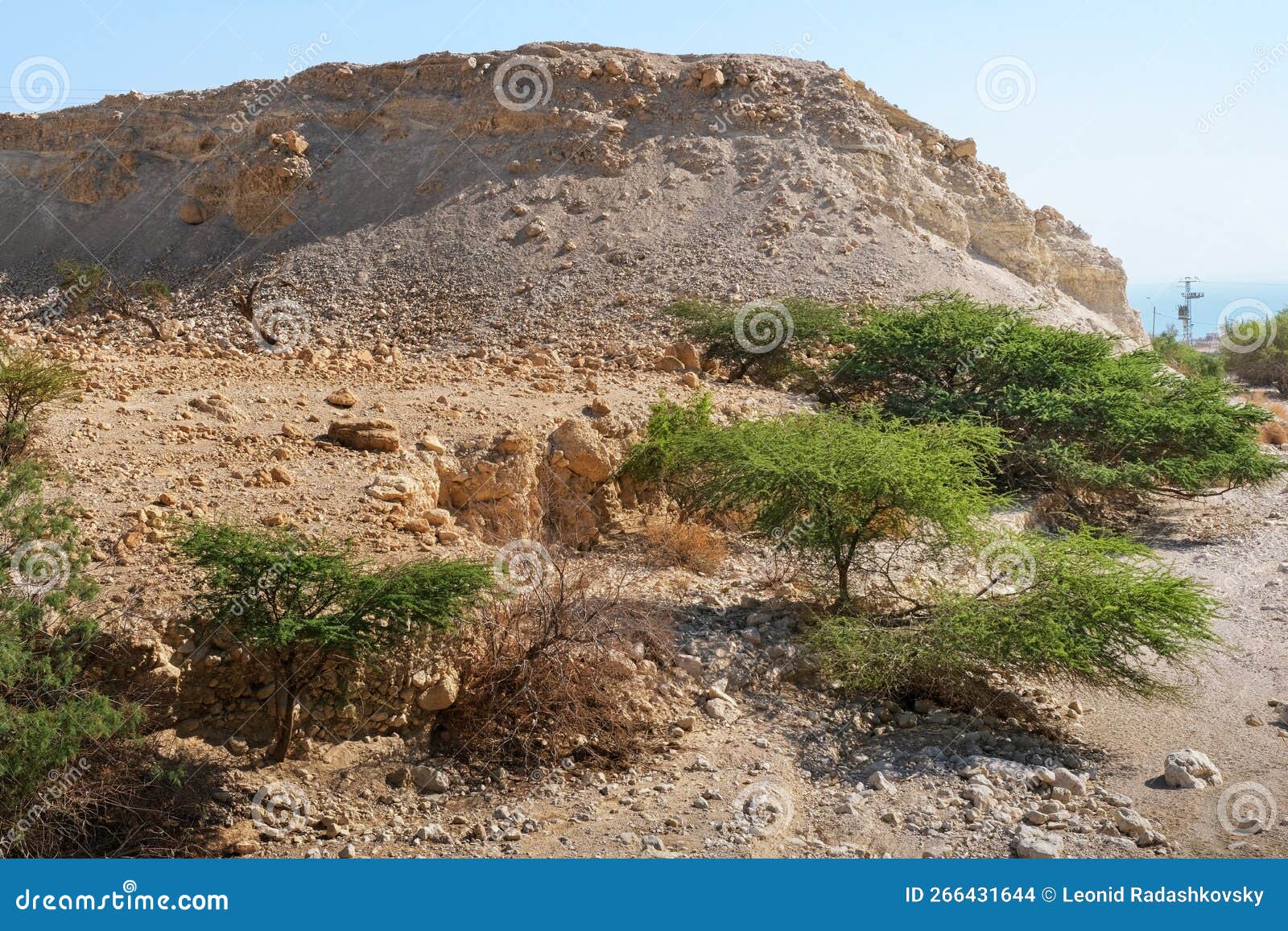 The National Park Ein Gedi, Israel Stock Photo - Image of nature, cliff ...