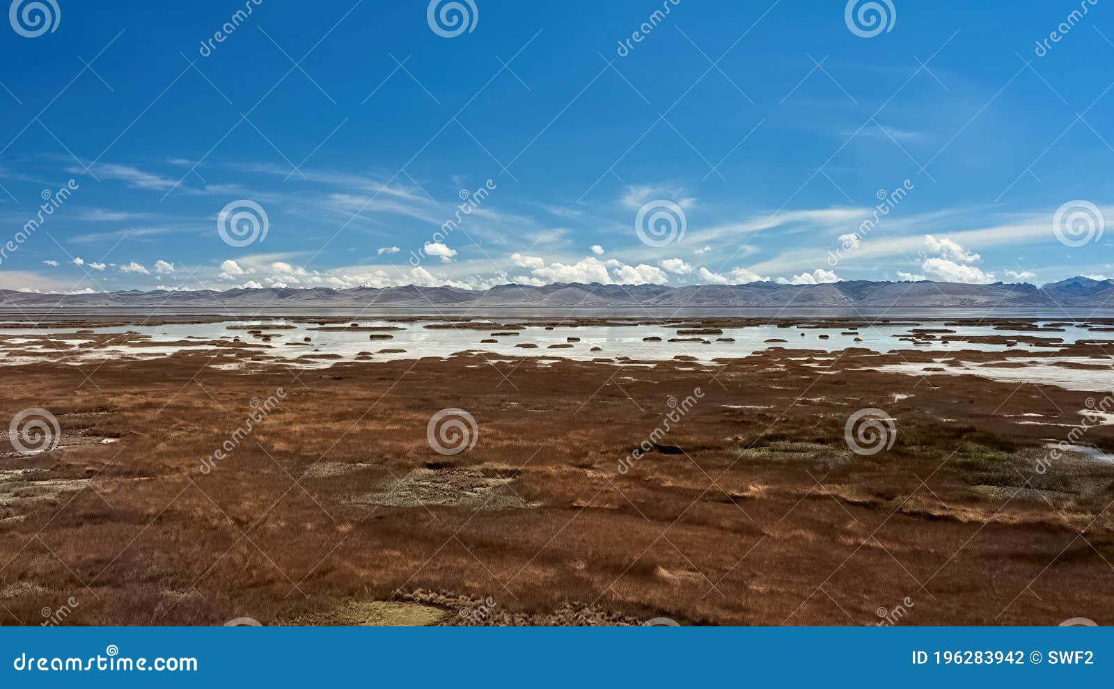 National Park of Lake Junin in Peru Stock Photo - Image of pasture ...