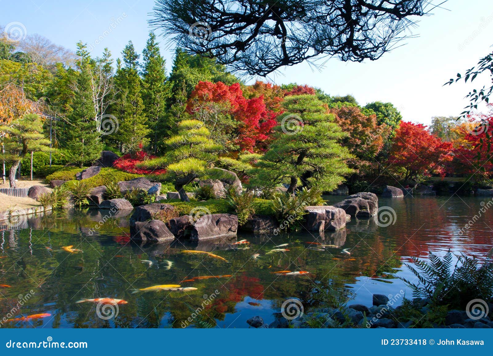 National Park in Osaka Japan Stock Photo - Image of nature, koko: 23733418