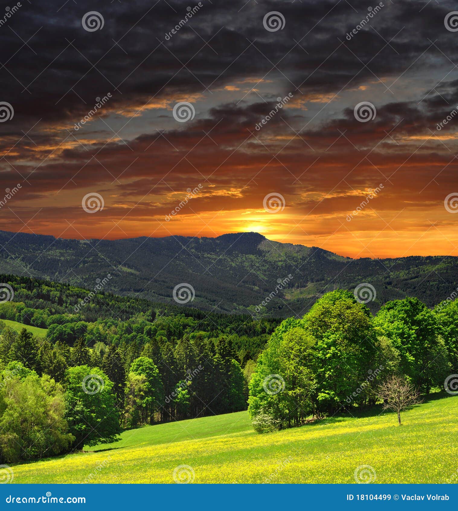 National Park Sumava in Czech Republic Stock Image - Image of light ...