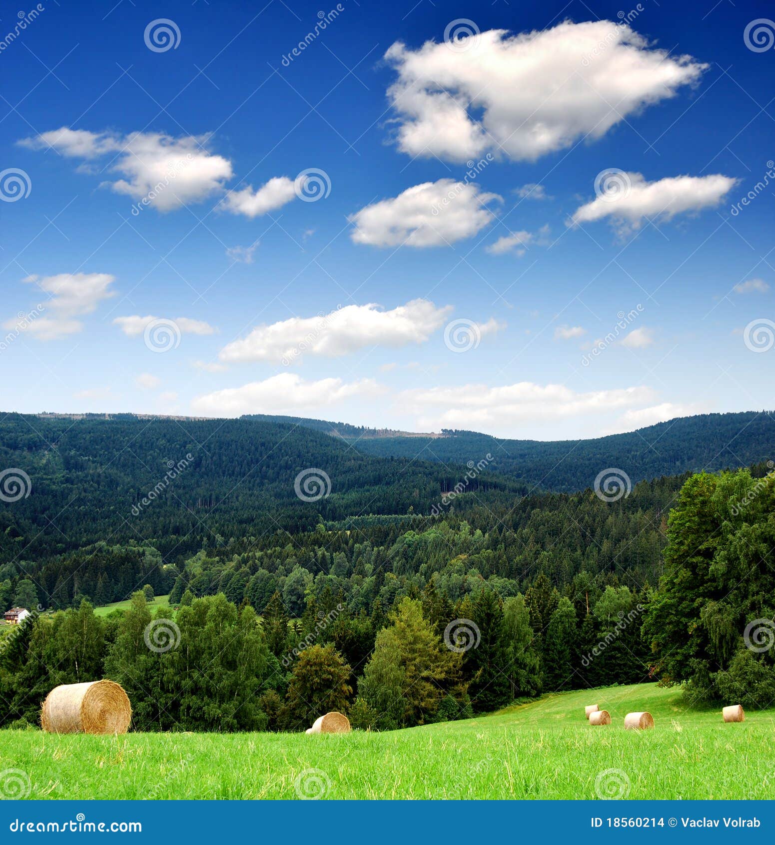 National Park Sumava - Czech Republic Stock Photo - Image of country ...