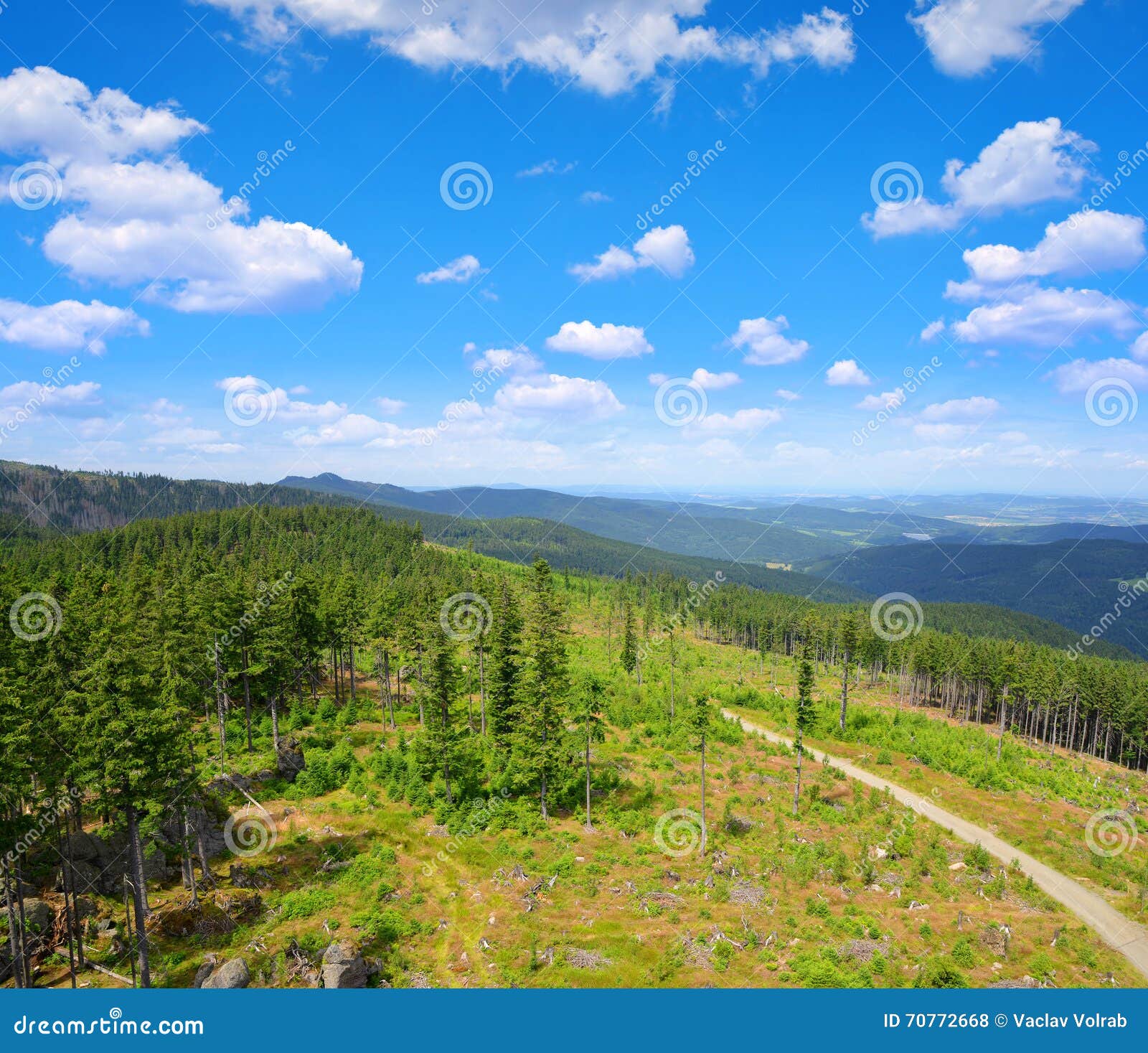 National park Sumava stock photo. Image of scene, bright - 70772668