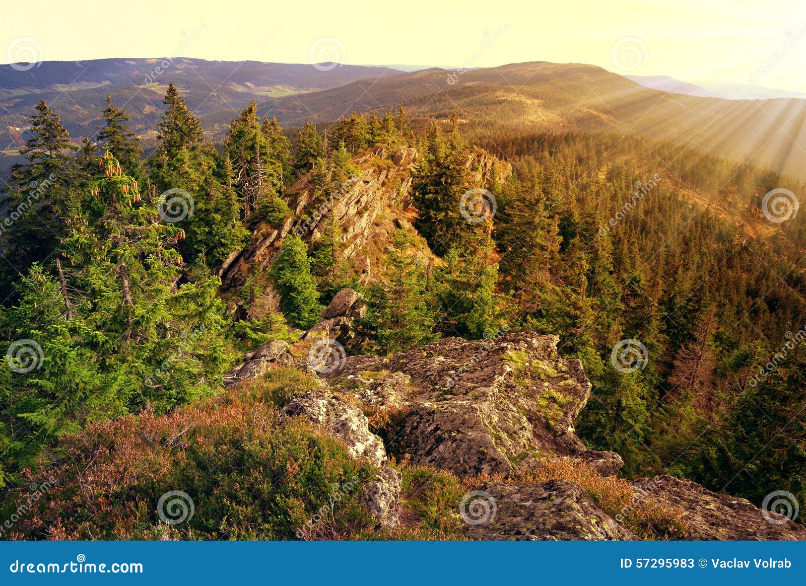 National Park Sumava in Czech Republic Stock Image - Image of ...