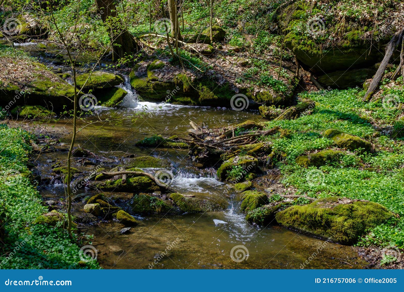 National Park Thayatal in Lower Austria Stock Photo - Image of natural ...