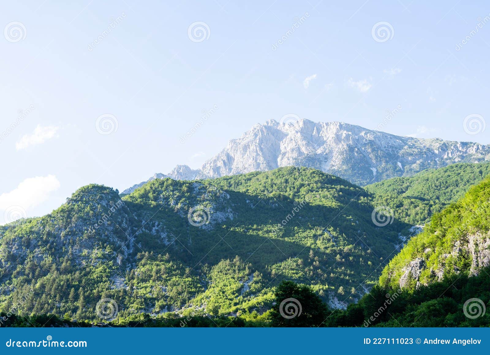 National Park of Thethi, Albania Stock Image - Image of leaf, animals ...
