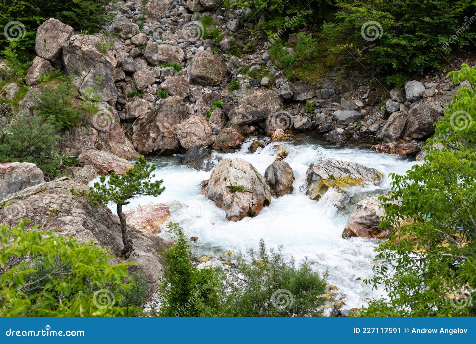 stock image. Image of beautiful, landscape, summer - 227117591