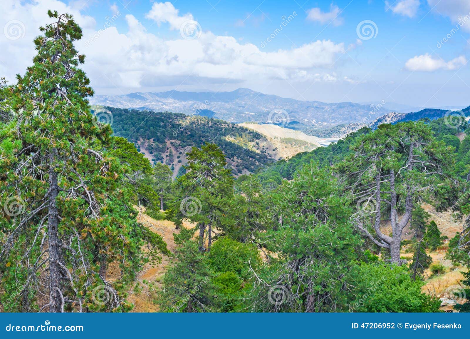 The National park stock photo. Image of tourism, europe - 47206952