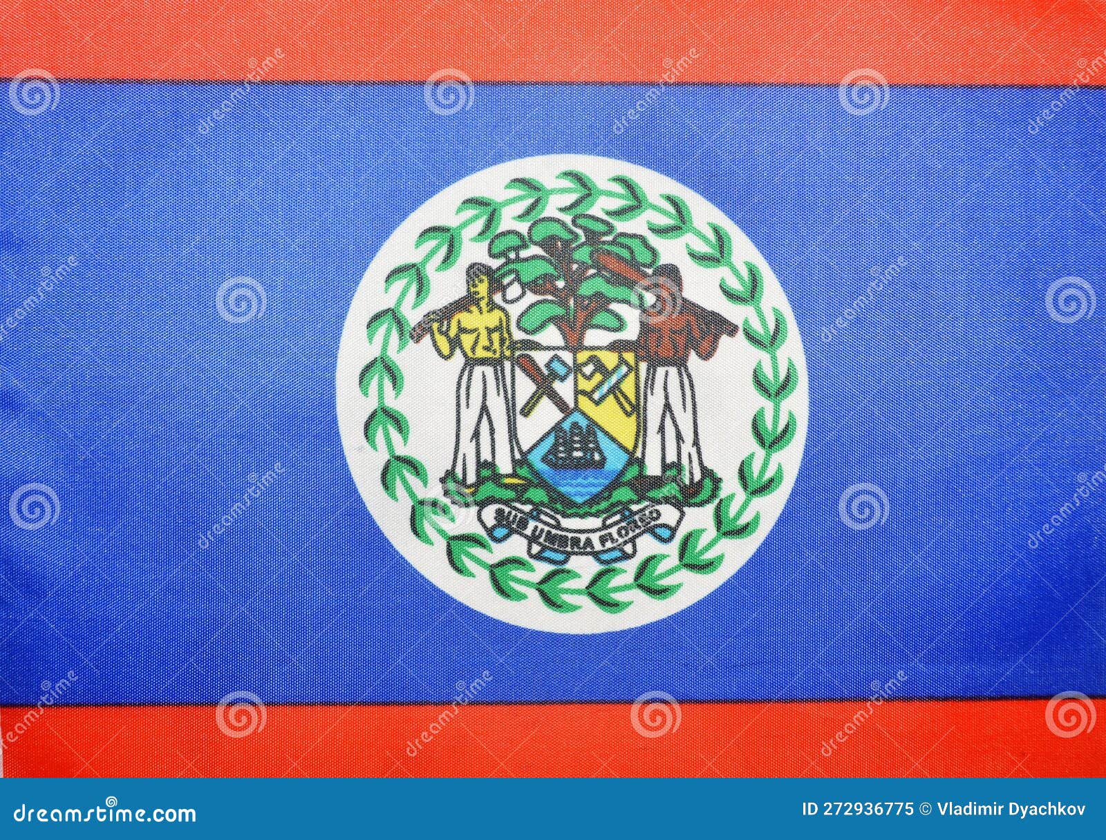 State national flag stock image. Image of wind, union - 272936775
