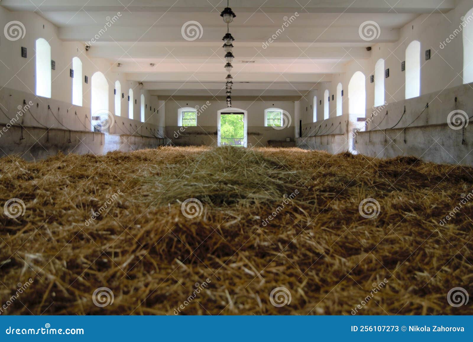 National Stud Kladruby Nad Labem - Stable Editorial Stock Photo - Image ...