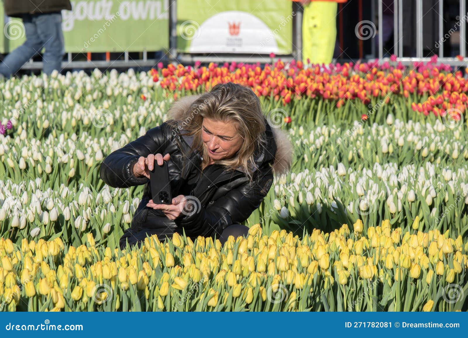 National Tulip Day at Amsterdam the Netherlands 21-1-2023 Editorial ...
