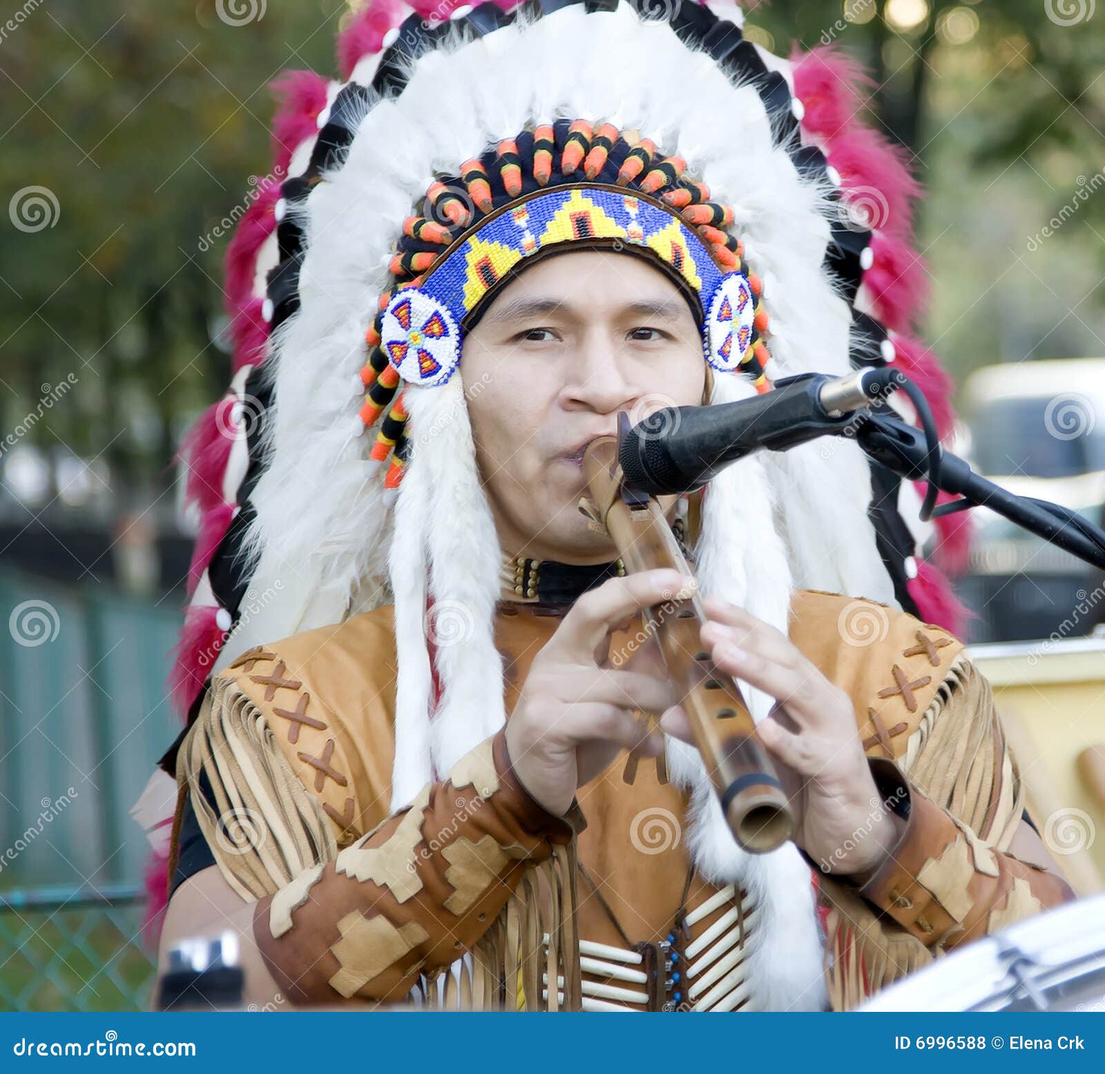 Native american stock photo. Image of head, studio, portrait - 6996588