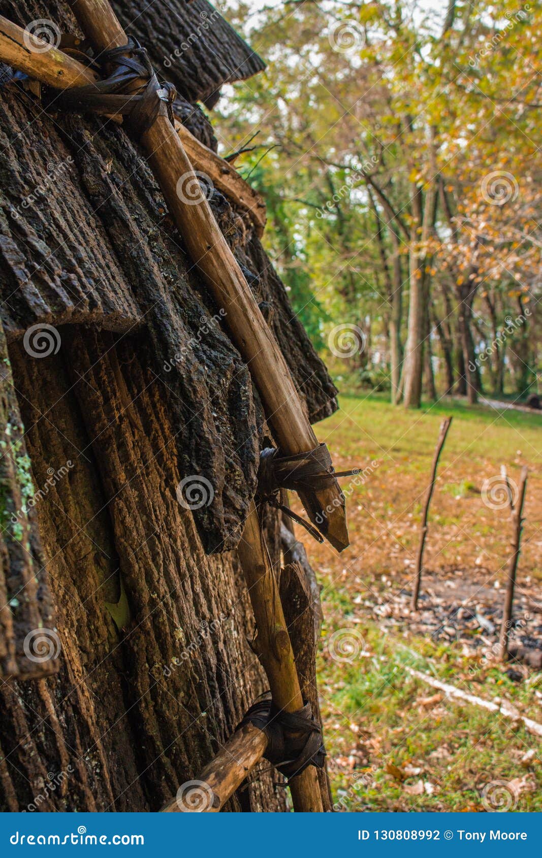 Native American Hut and Fall Trees Stock Photo - Image of inside ...