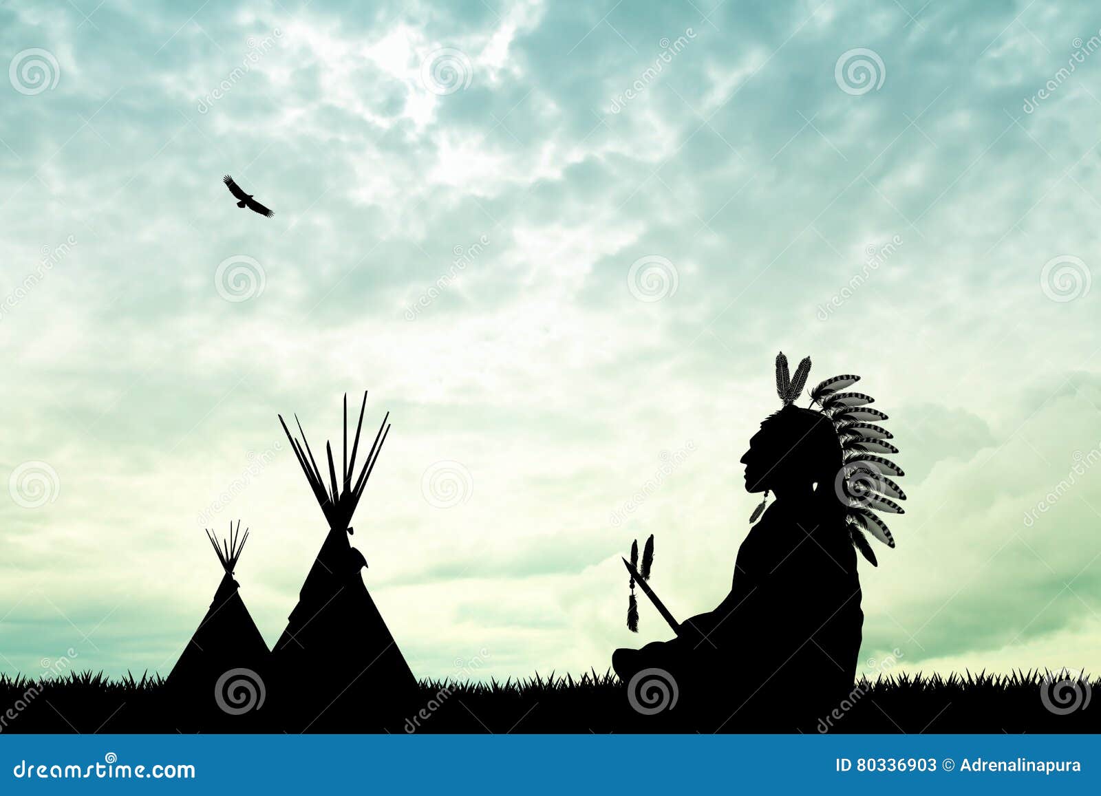 Native American Indian stock illustration. Illustration of mane - 80336903