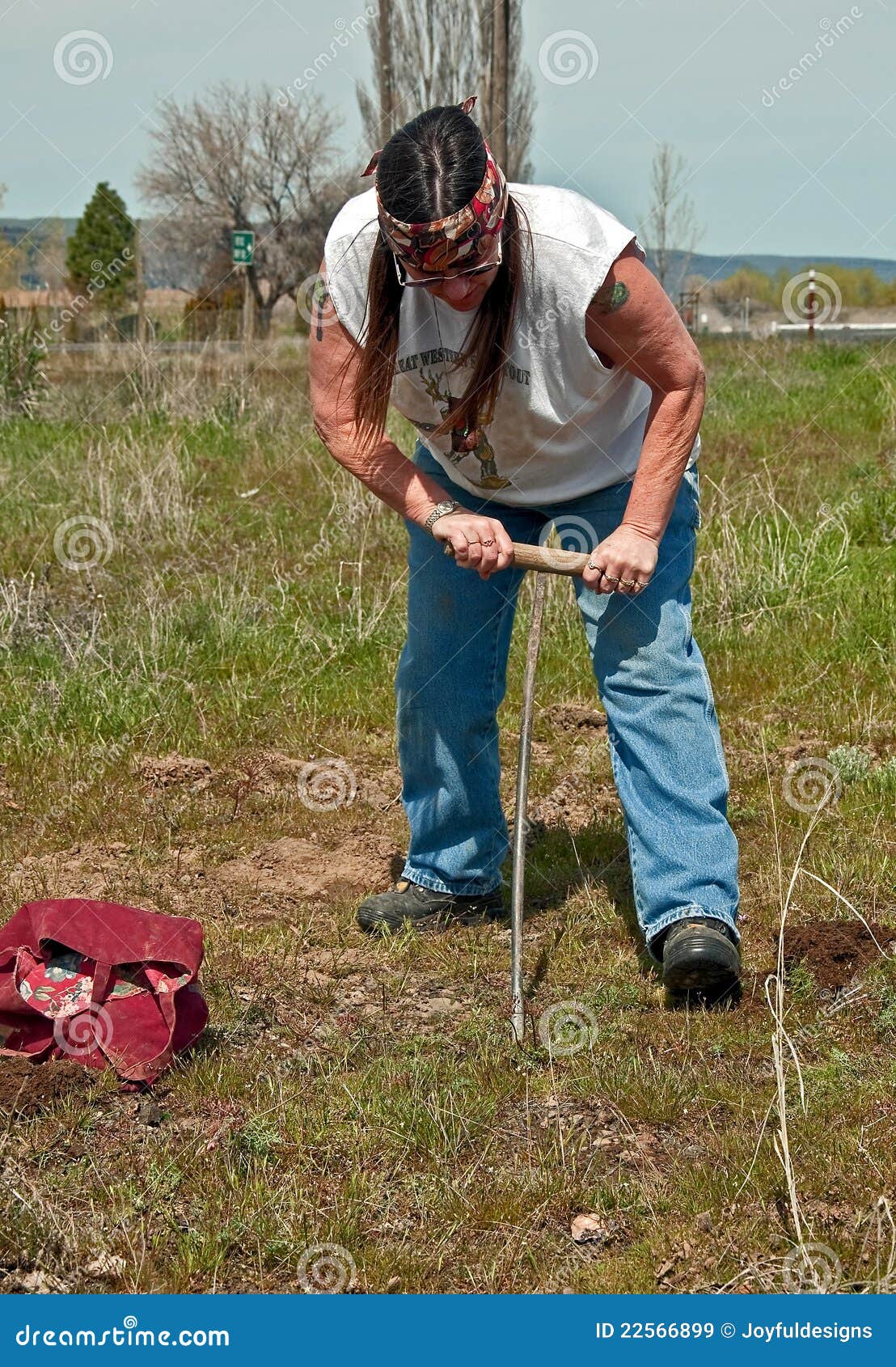Native American Indian Woman Digging Camas Stock Image - Image of labor ...