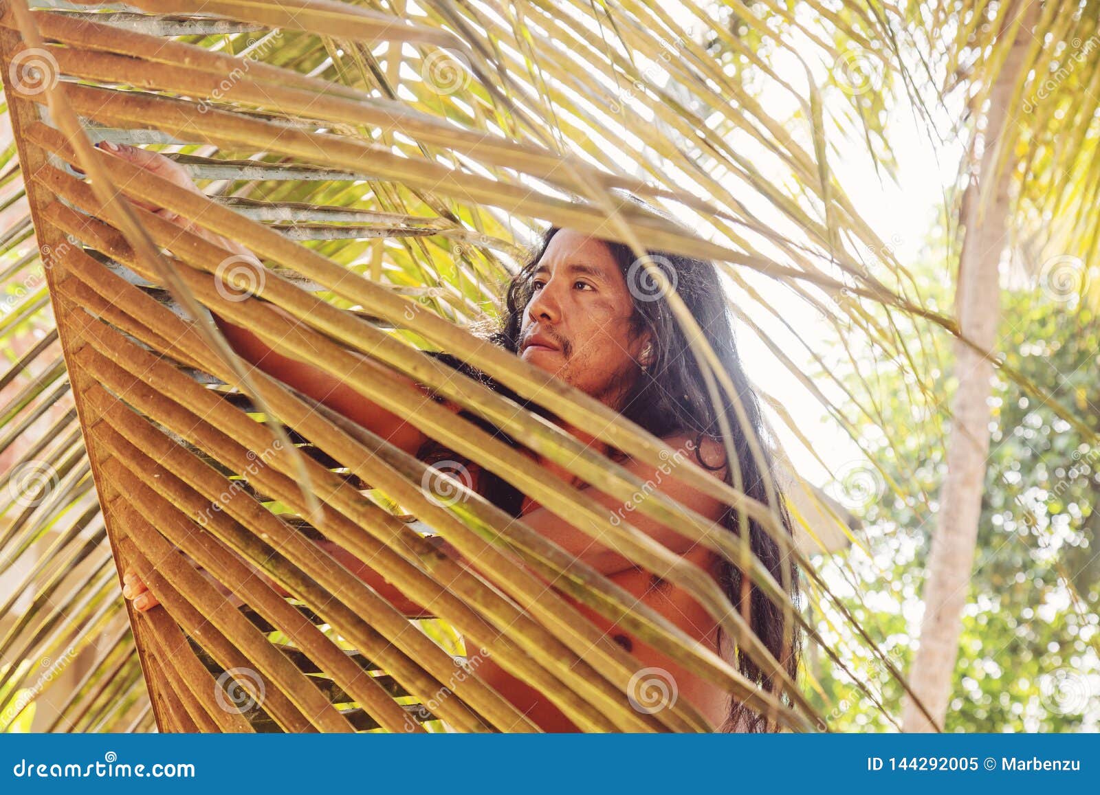 Native American Man Cutting a Palm Tree Leaf Stock Image - Image of ...