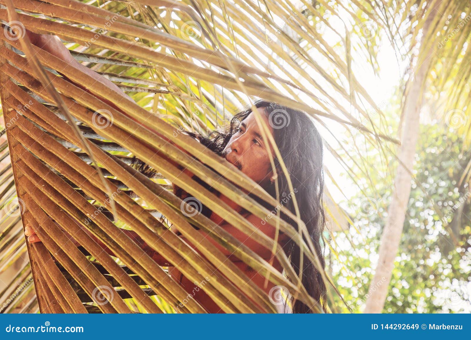 Native American Man Cutting a Palm Tree Leaf Stock Image - Image of ...