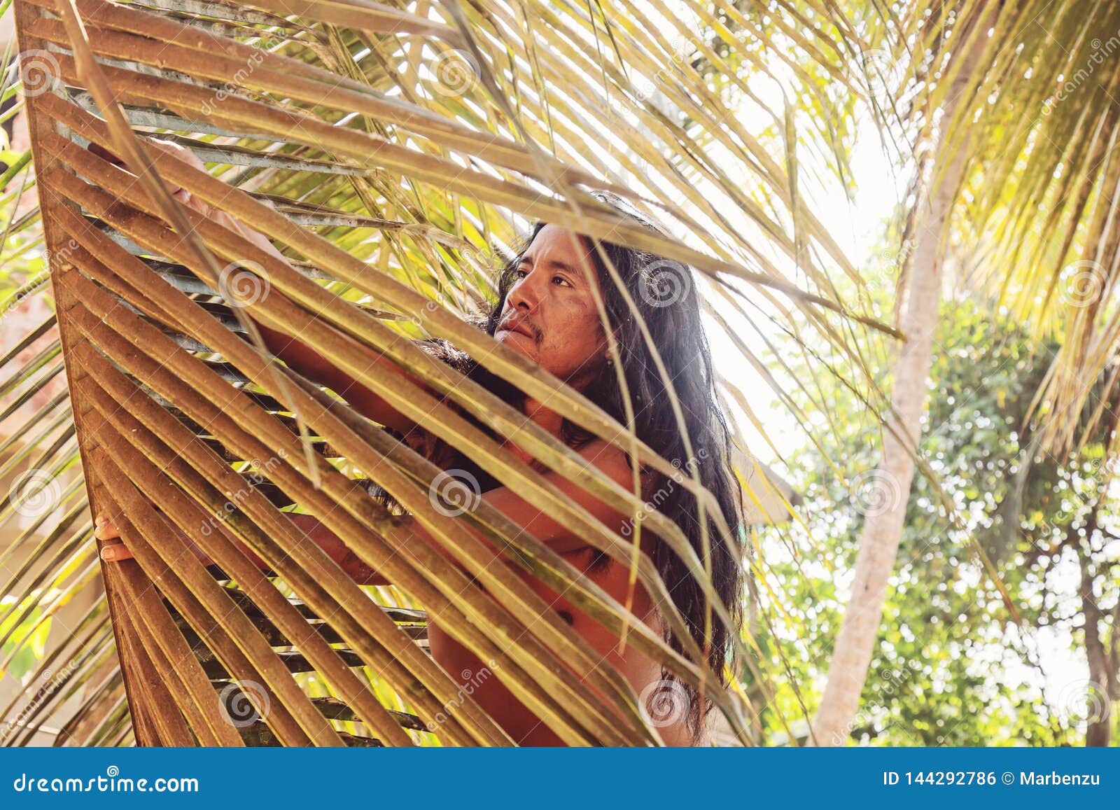 Native American Man Cutting a Palm Tree Leaf Stock Photo - Image of ...