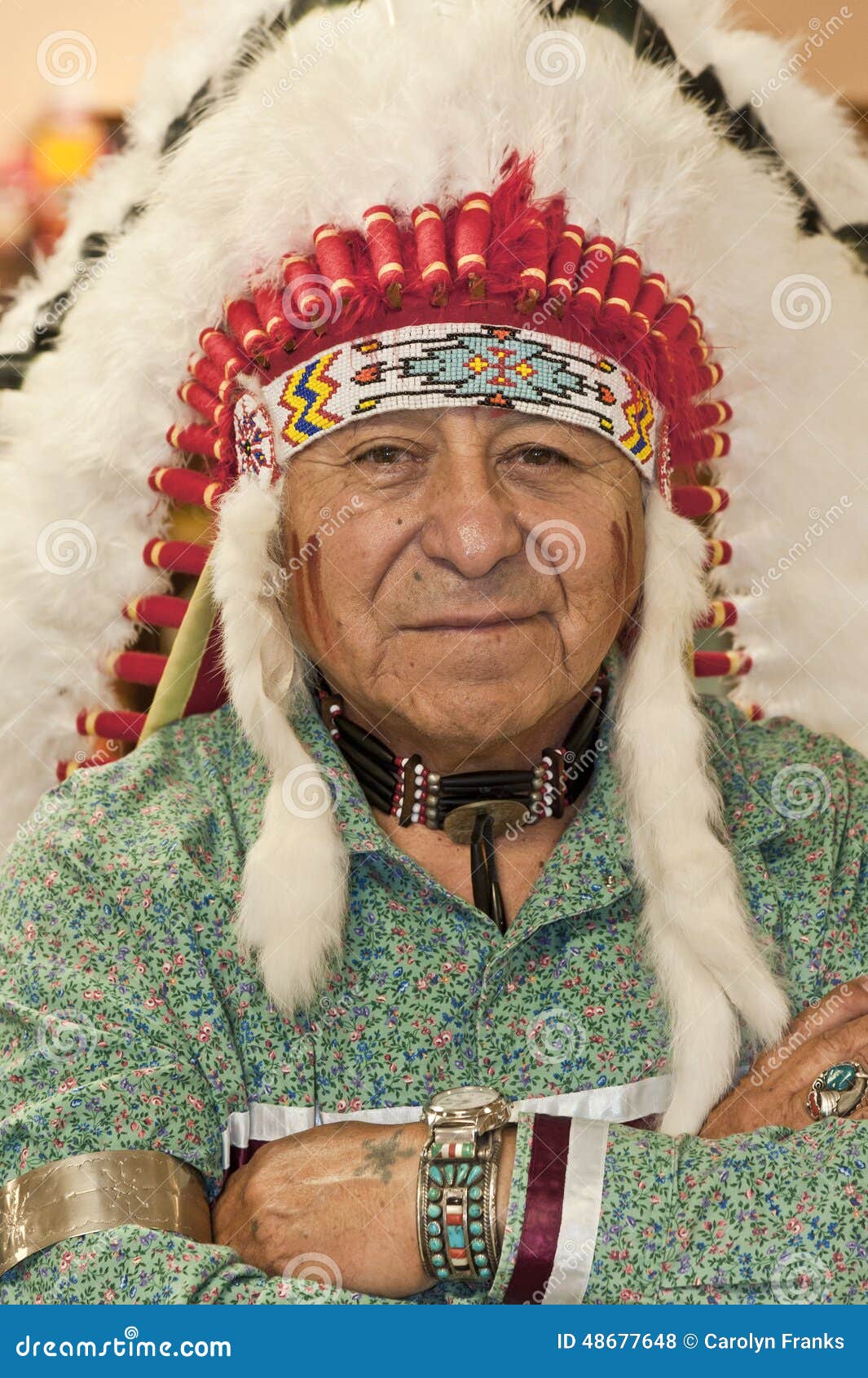 921 Native American Man Portrait Face Stock Photos - Free & Royalty ...