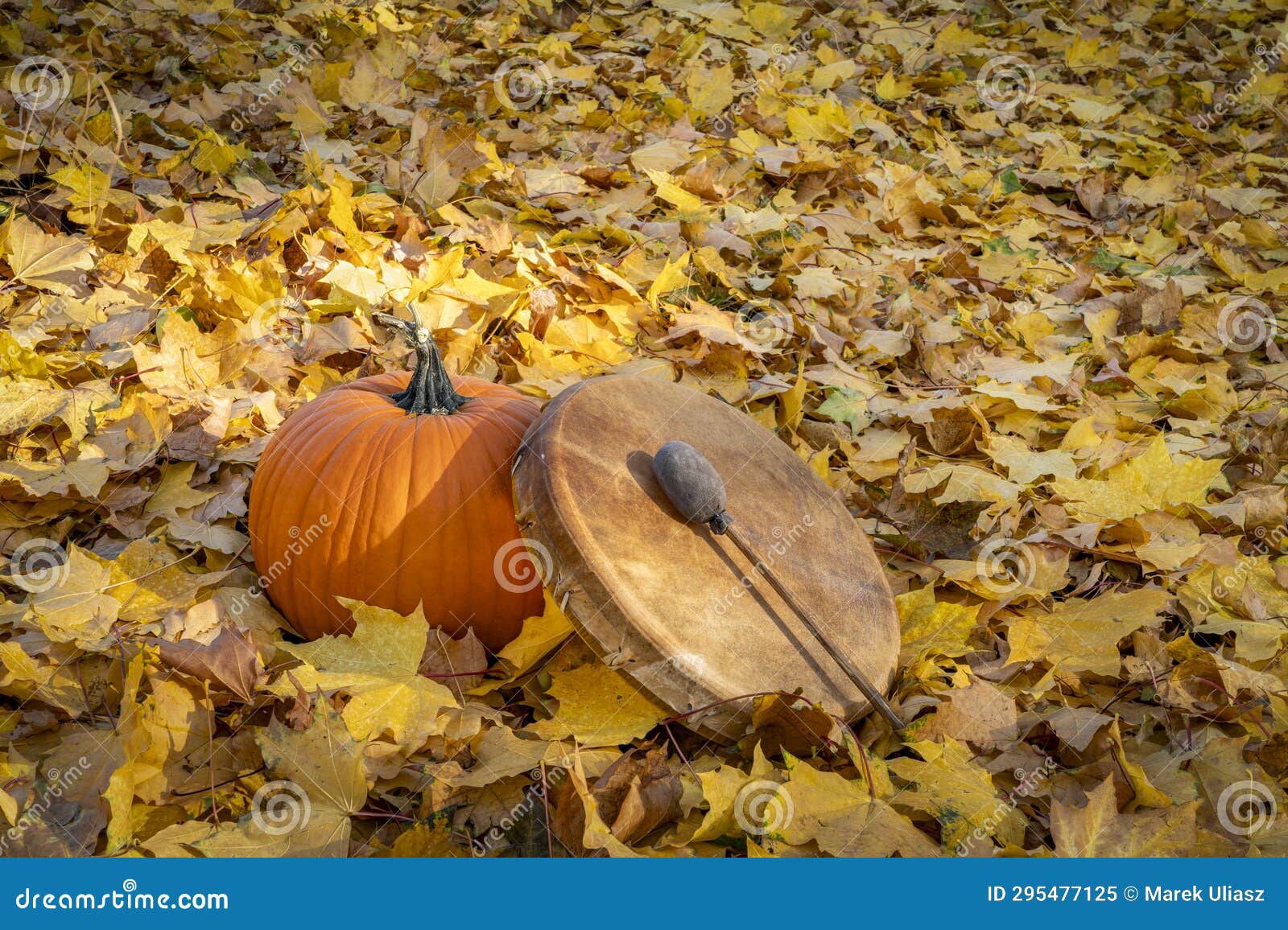 Native American Style Drum with Pumpkin on a Backyard Lawn Covered by ...