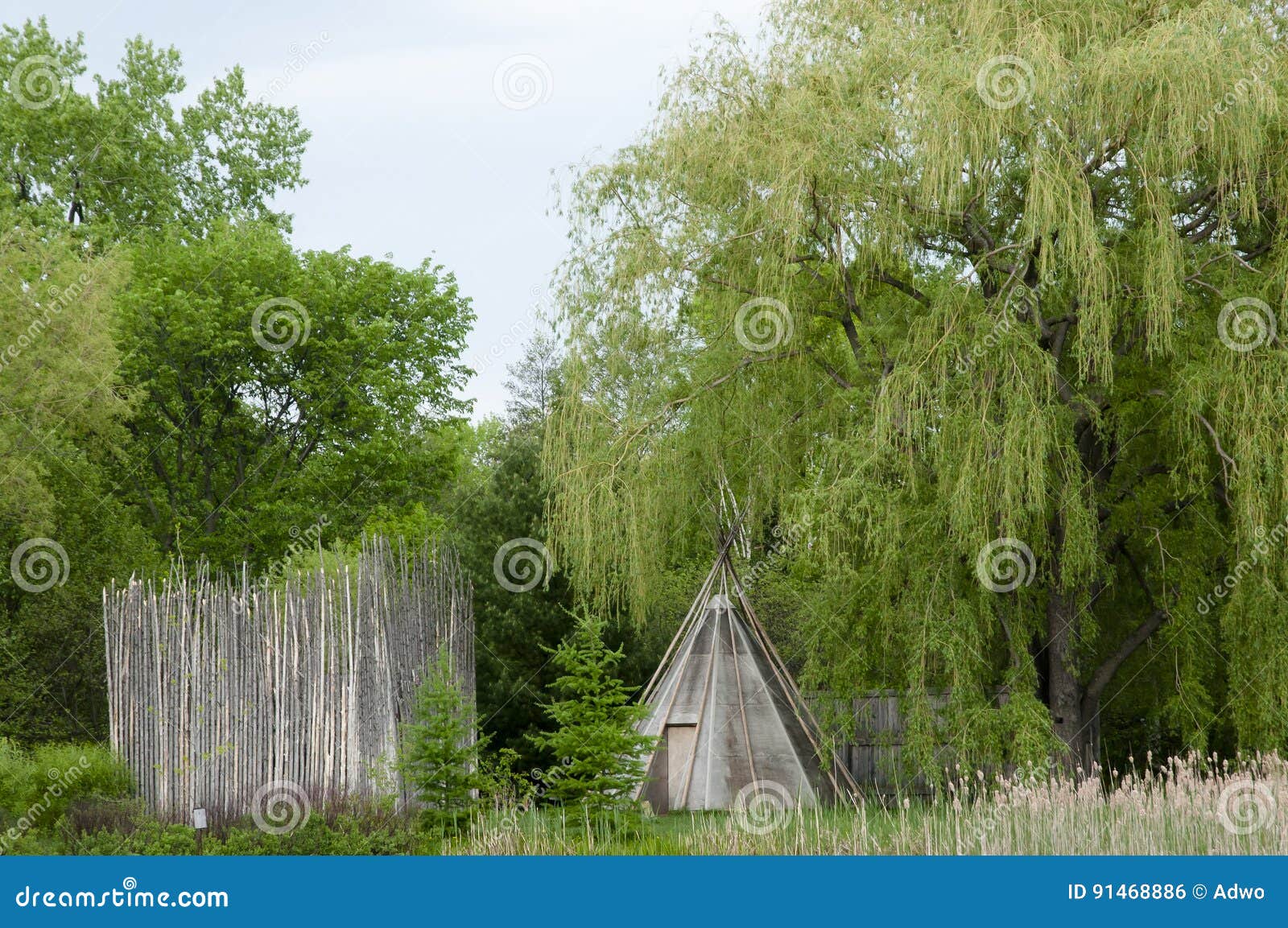 Native American Teepee Tent Stock Photo - Image of aboriginal, forest ...