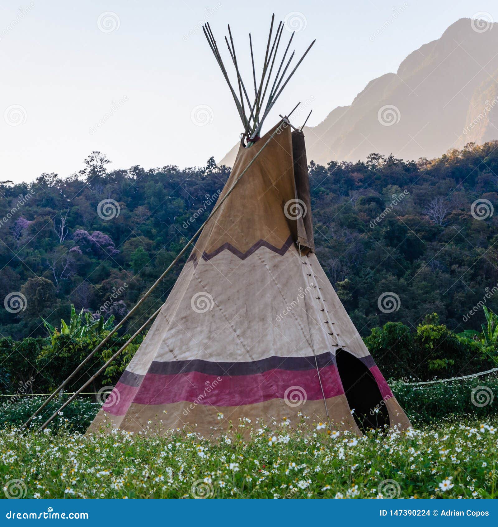 Native American Teepee in USA Stock Photo - Image of america, teepee ...
