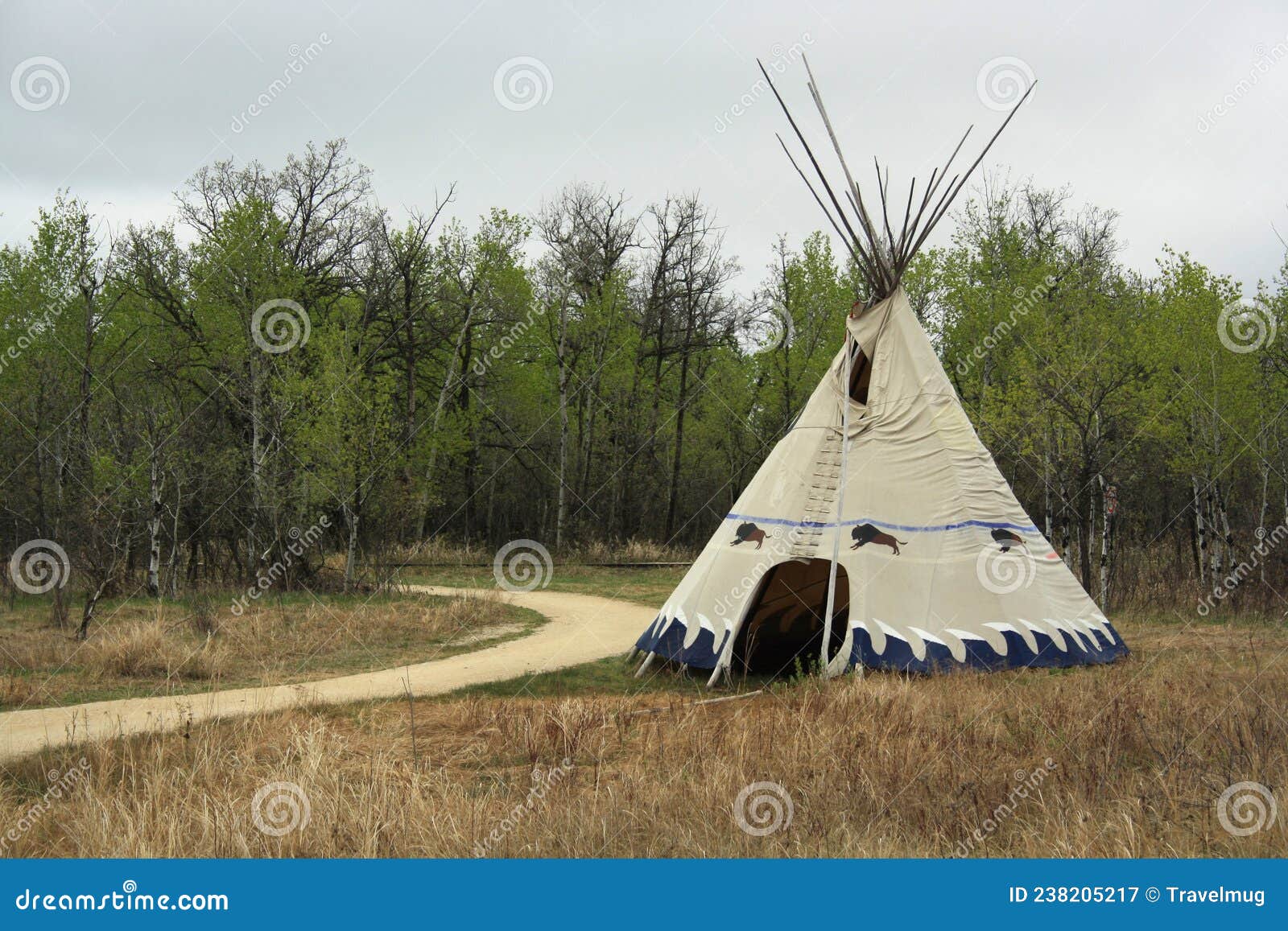 A Tipi, Or Teepee Made Of Trees In A Pine Forest Stock Photography ...
