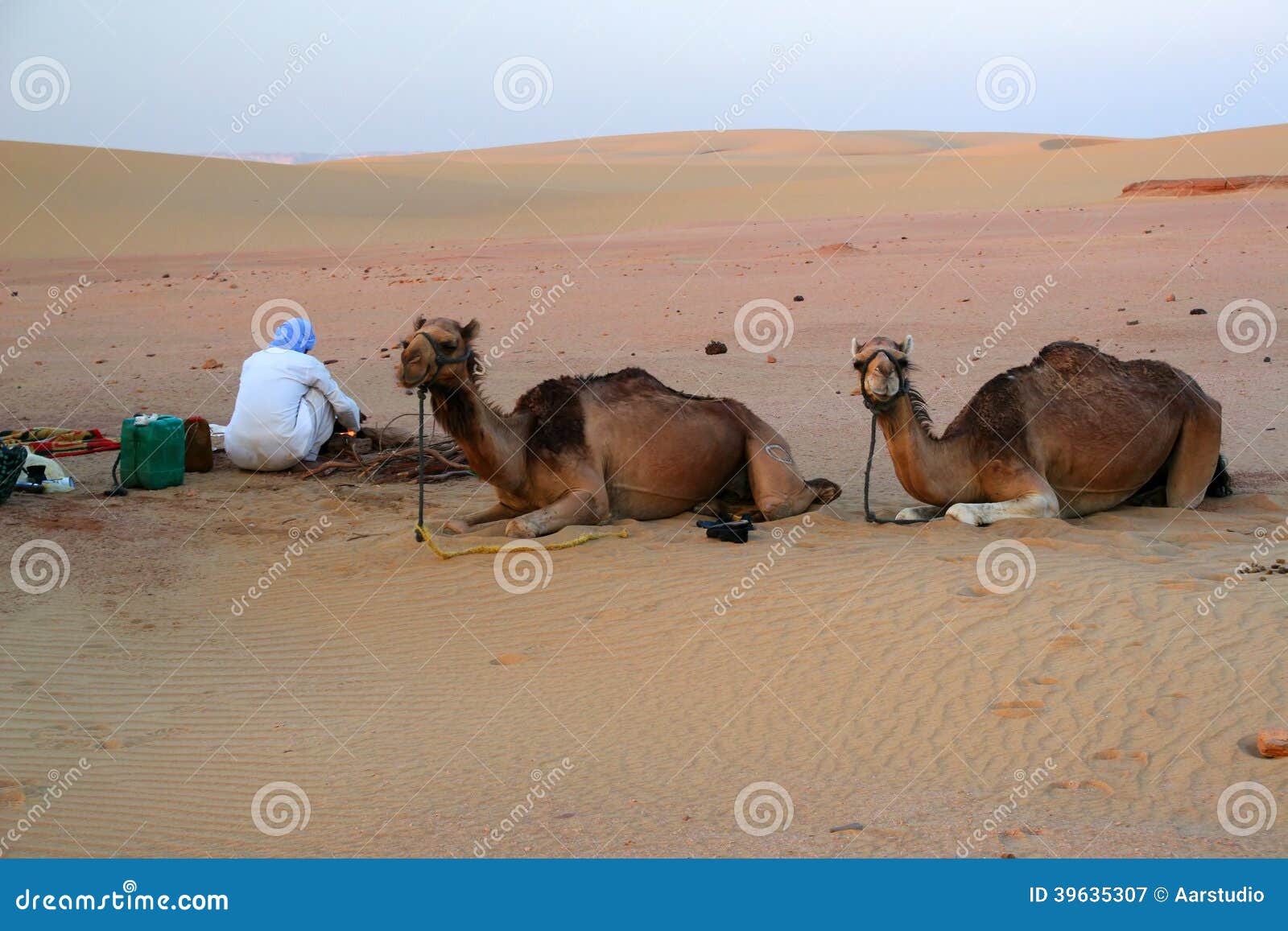 Native Arab Bedouin Making a Dinner in Middle of the Desert in Egypt ...
