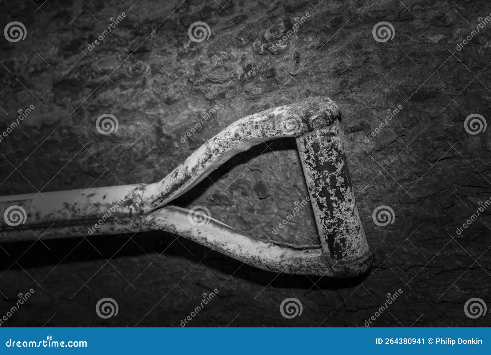 Native Asian Tree with Ruff Bark Patterns and Texture with Old Rusty ...